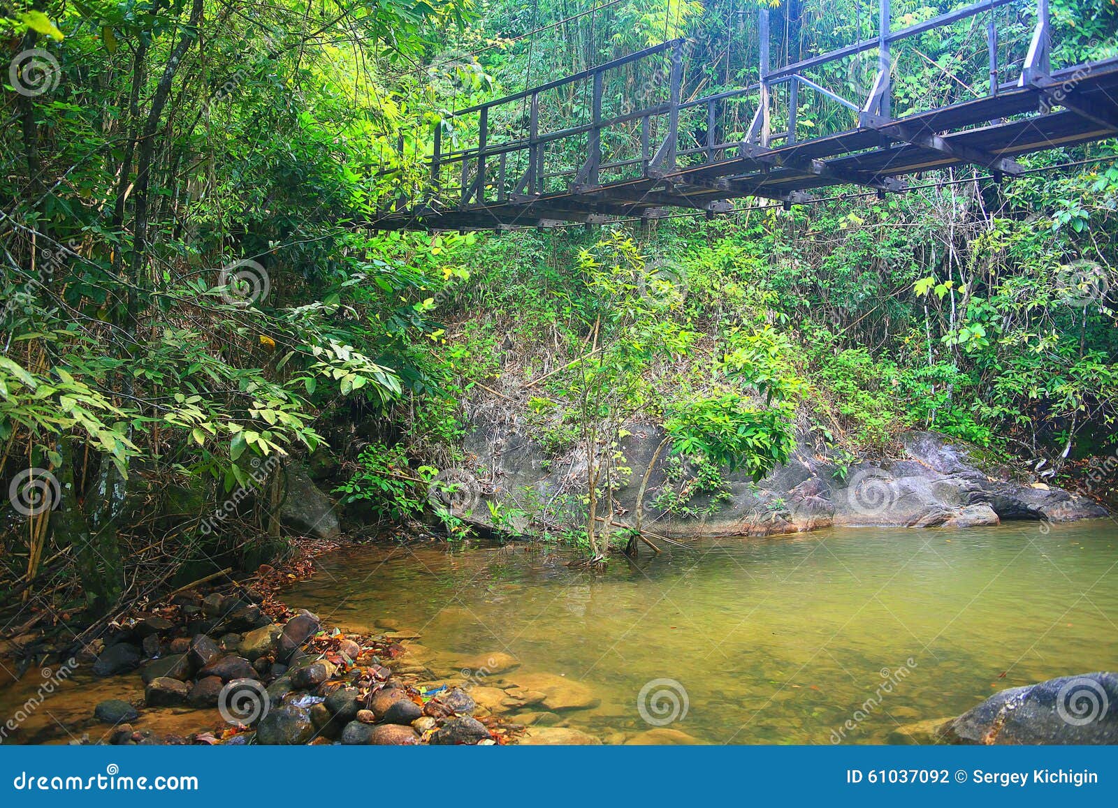 Thailand jungle landscape stock photo. Image of outdoor - 61037092