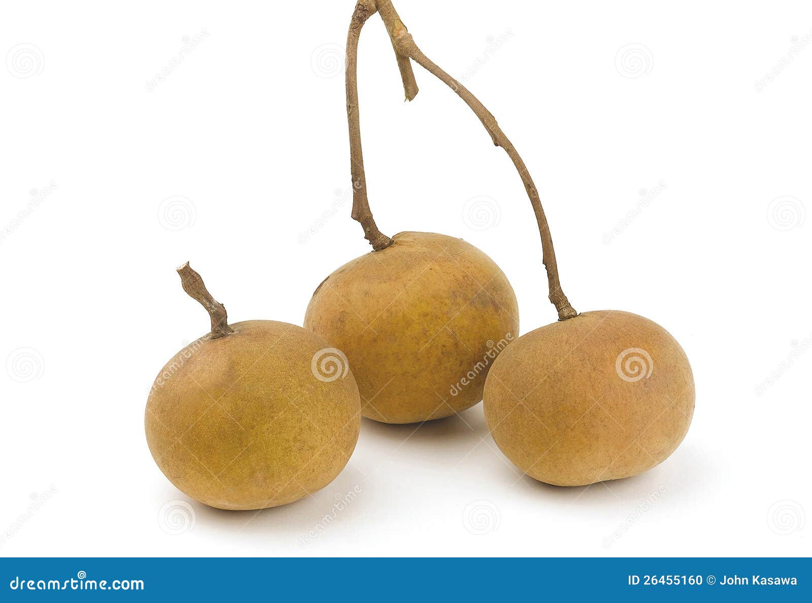 Thailand Santol Fruit Sweet and Unique Taste Stock Photo - Image of ...