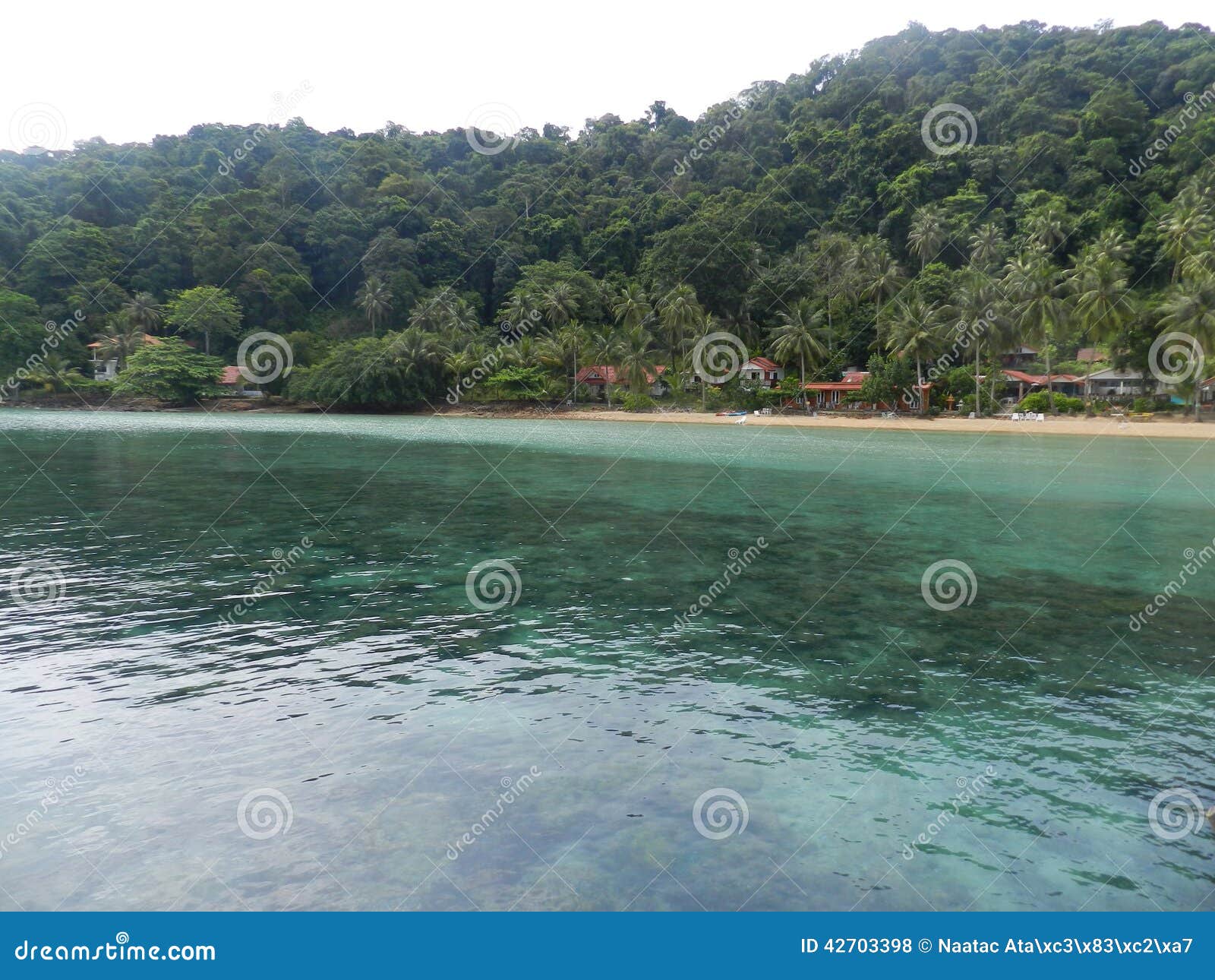 Thailand scene stock photo. Image of cove, river, tropics - 42703398