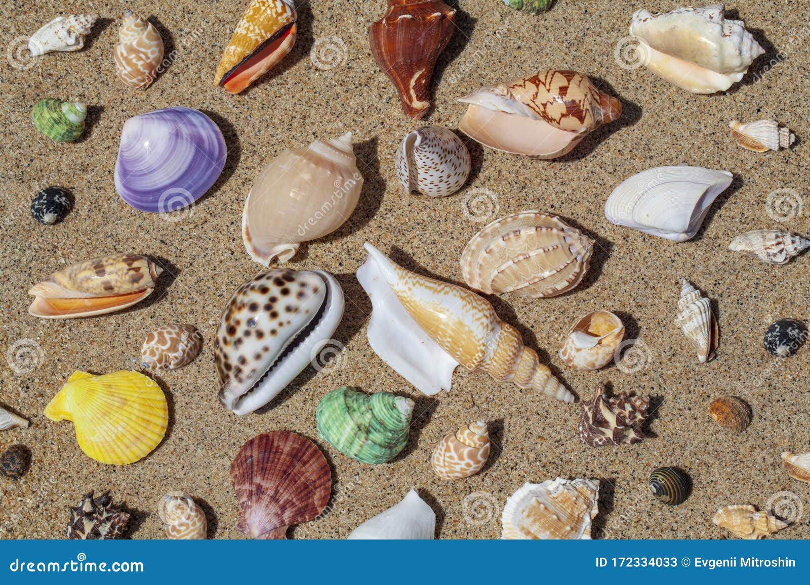 Thailand. Tropical Landscape Stock Image - Image of crustacea ...