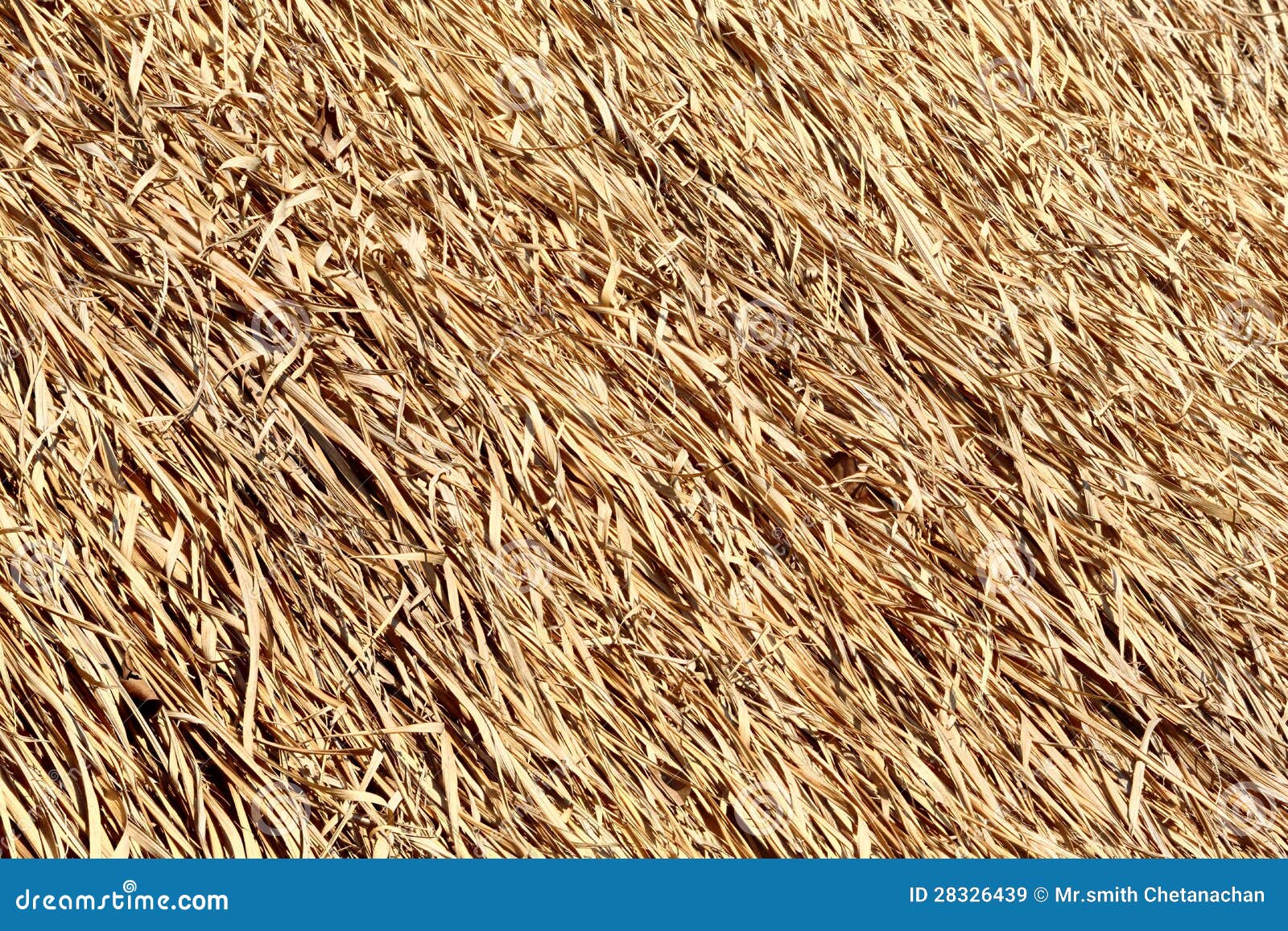 Thais met stro bedekt dak stock afbeelding. Image of palm - 28326439