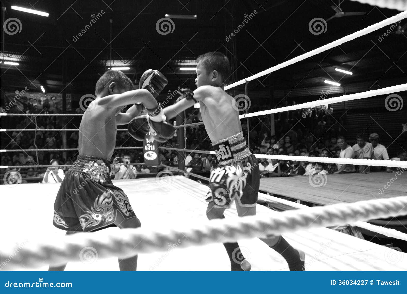 Thaise Jonge Boksers Die Op Boksring Vechten Redactionele Fotografie ...