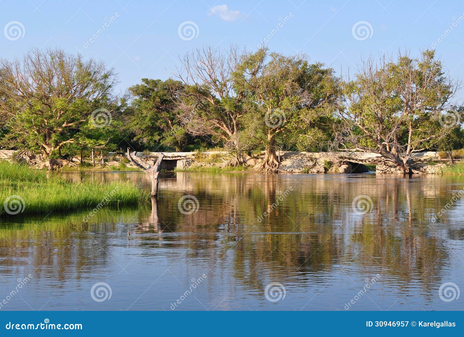 Thamalakane River, Botswana Stock Image - Image of africa, landscape ...