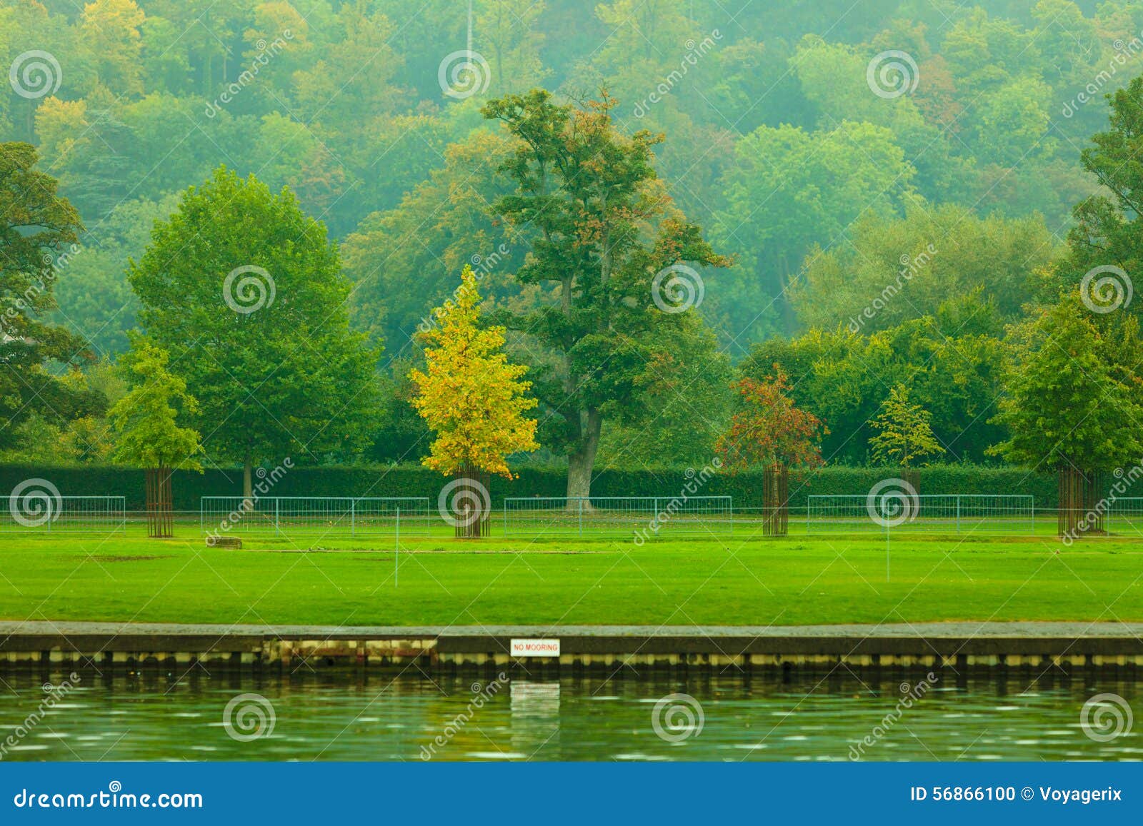 Thames River Landscape. Autumn Nature. Stock Photo - Image of grass ...