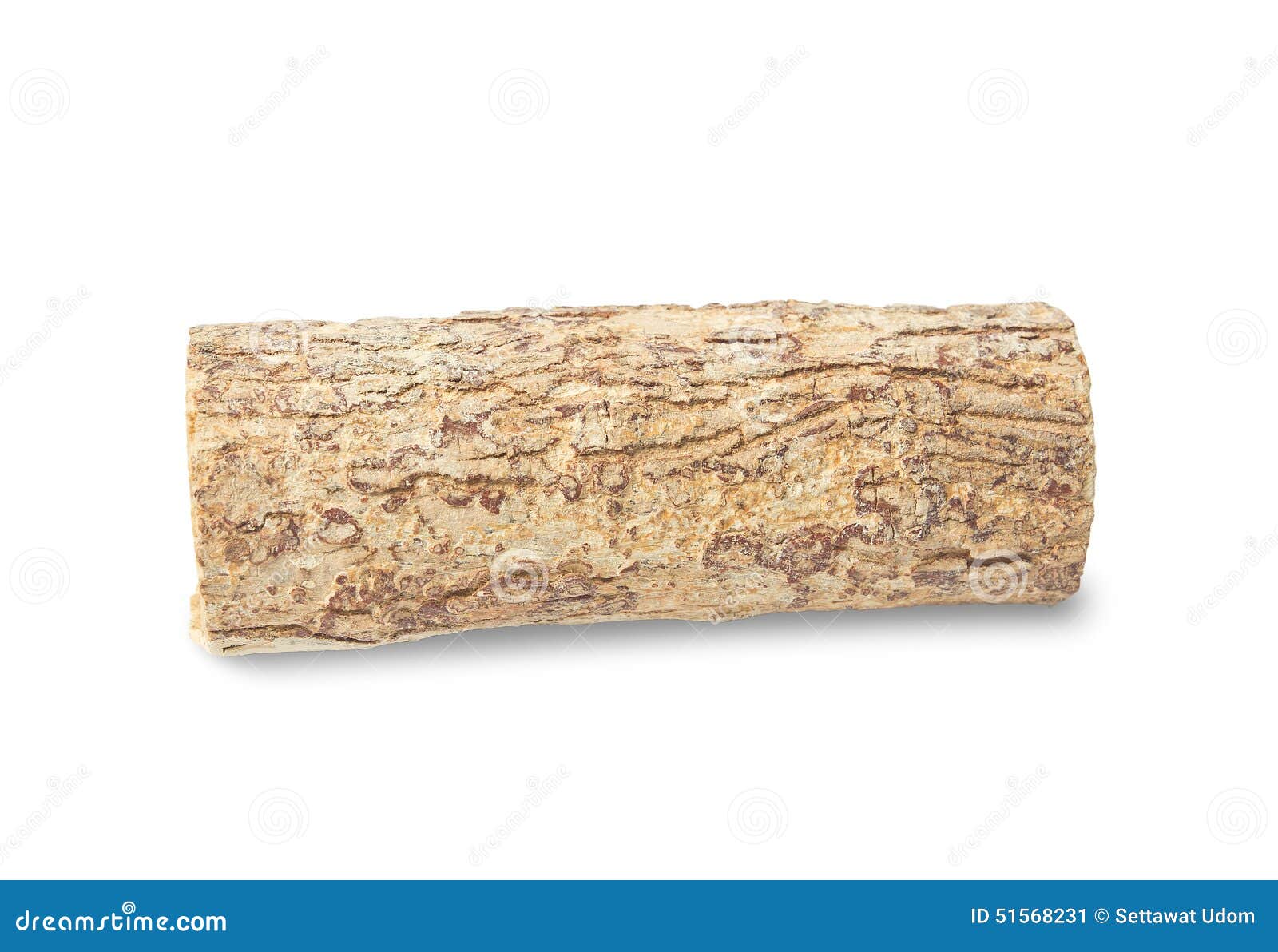 Thanaka Wood on White Background Stock Image - Image of brown, face ...
