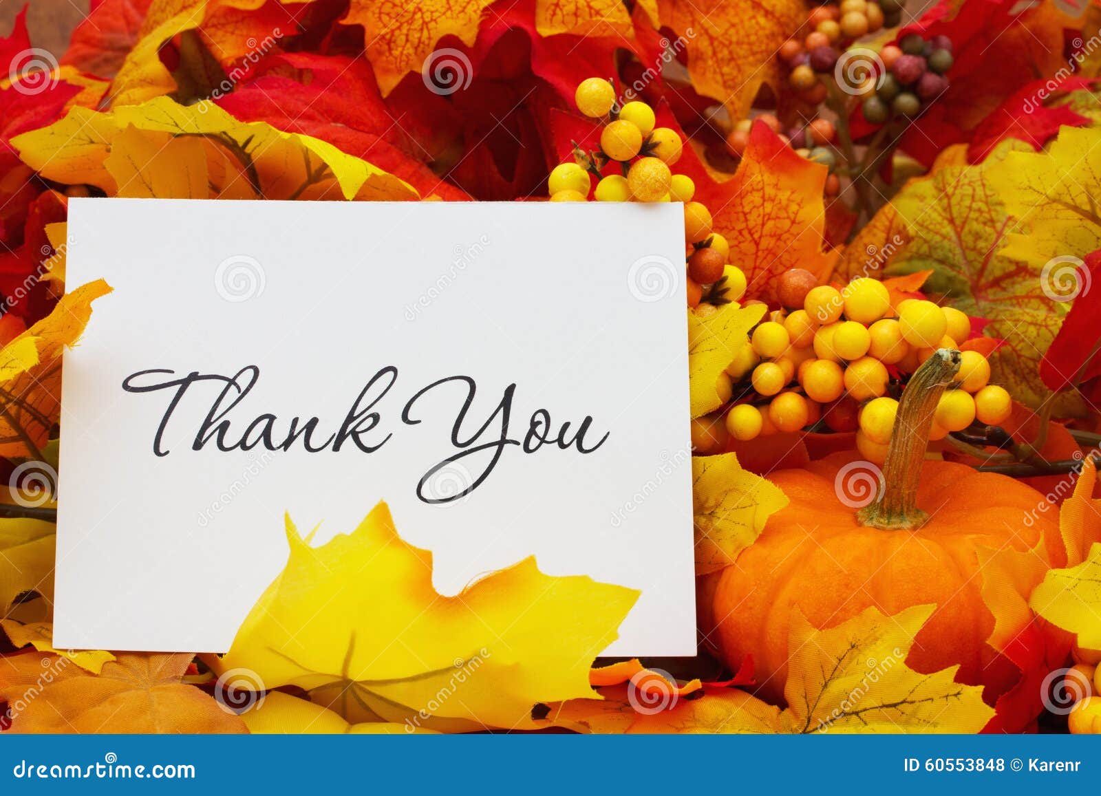 Thank You stock photo. Image of appreciation, harvest - 60553848