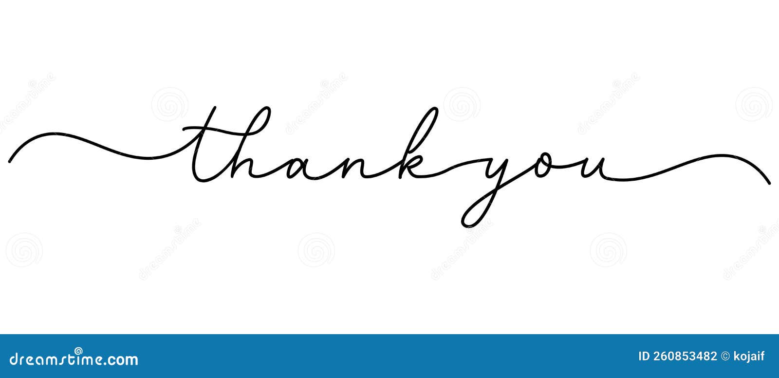 Thank You Calligraphy Text Vector Banner. Modern Typography Script ...