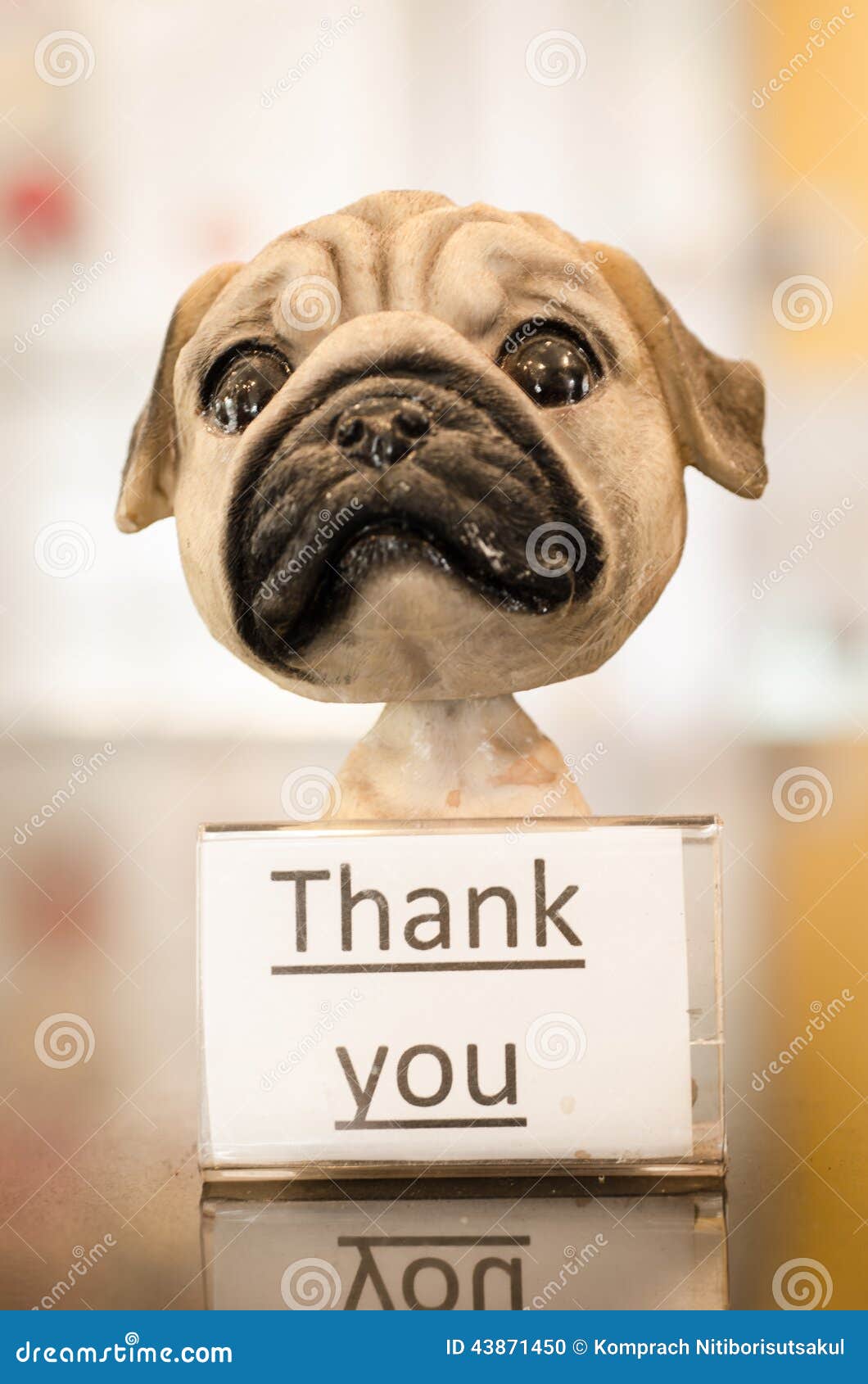 Thank you stock photo. Image of thank, animal, head, look - 43871450