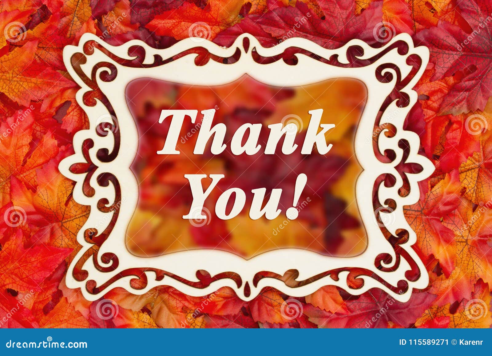 Thank You Message with Fall Leaves Stock Image - Image of border, text ...
