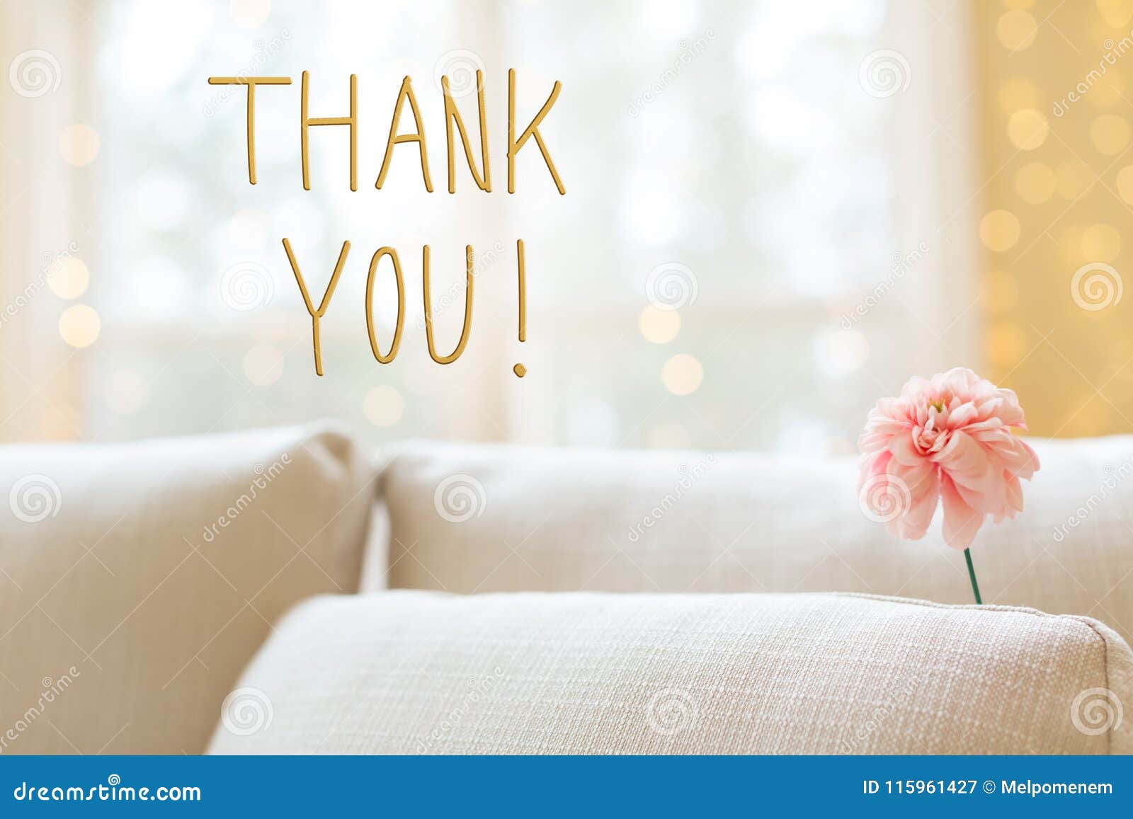 Thank You Message with Flower in Interior Room Sofa Stock Image - Image ...