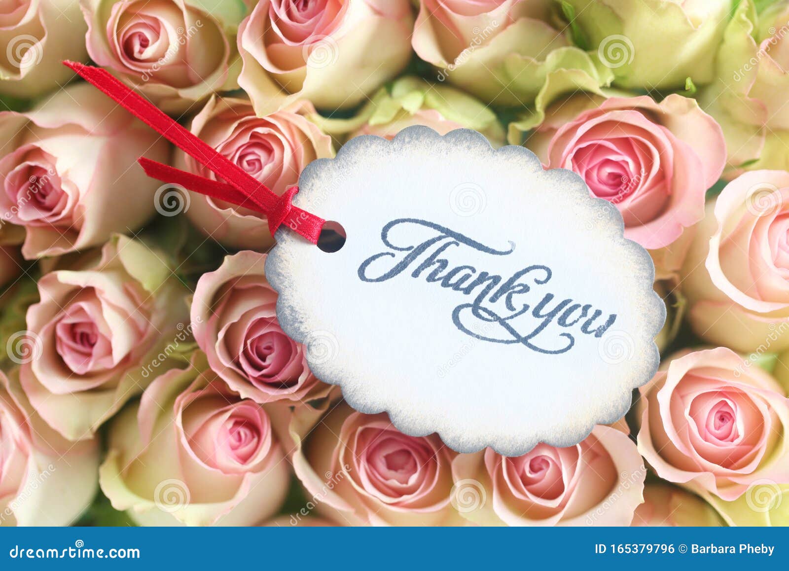 Thank You Pink Roses
