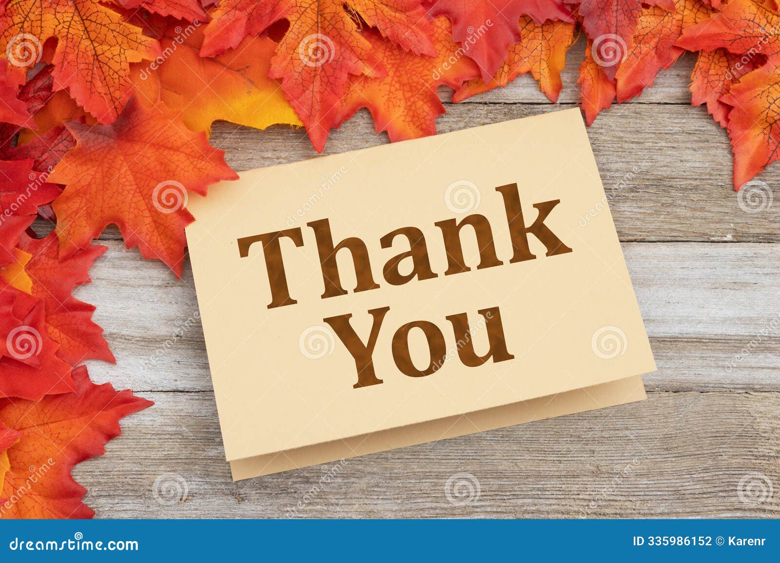 Thank You Note with Fall Leaves with a Greeting Card on Weathered Wood ...