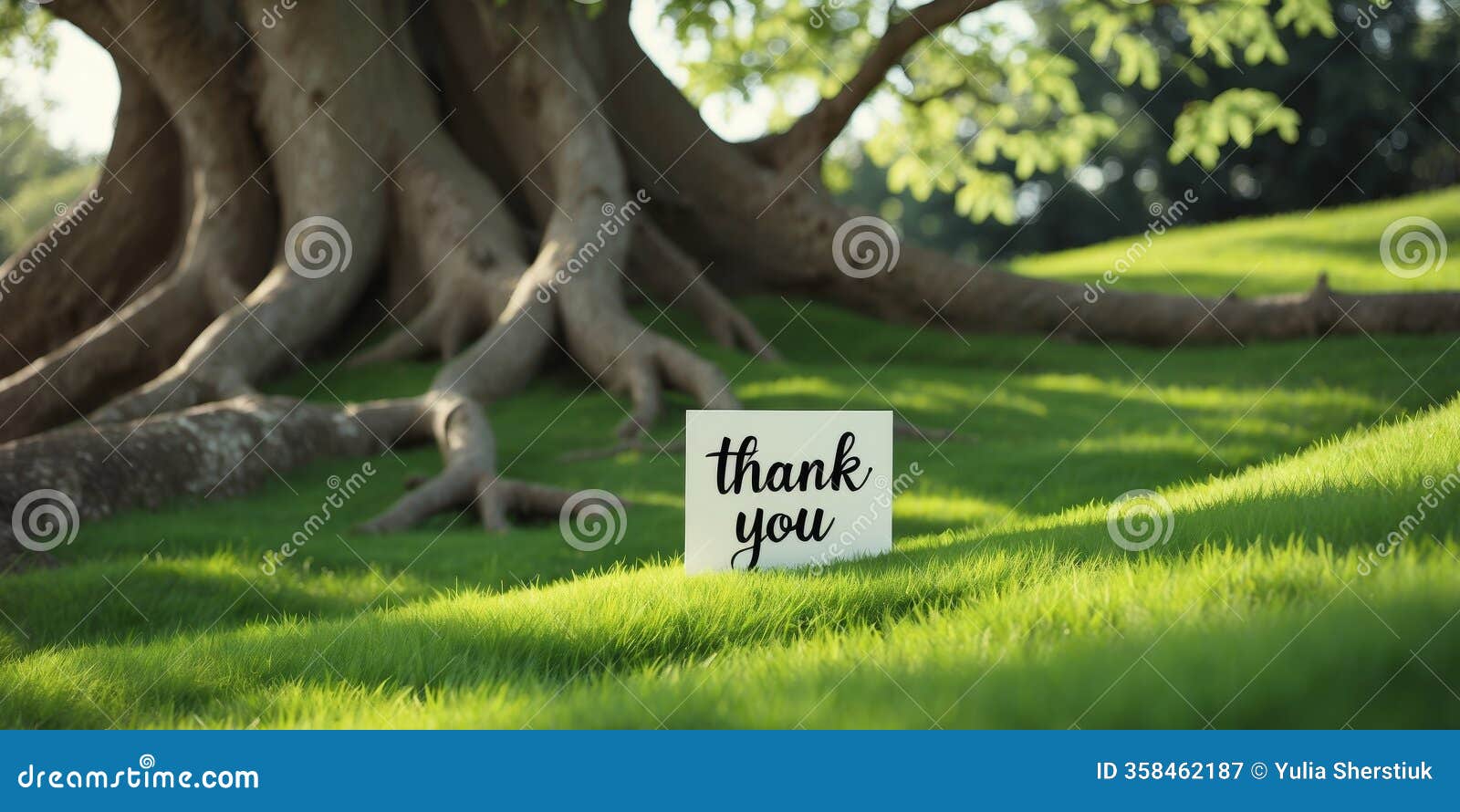 Thank You Sign on Green Grass Under a Tree. Stock Image - Image of ...