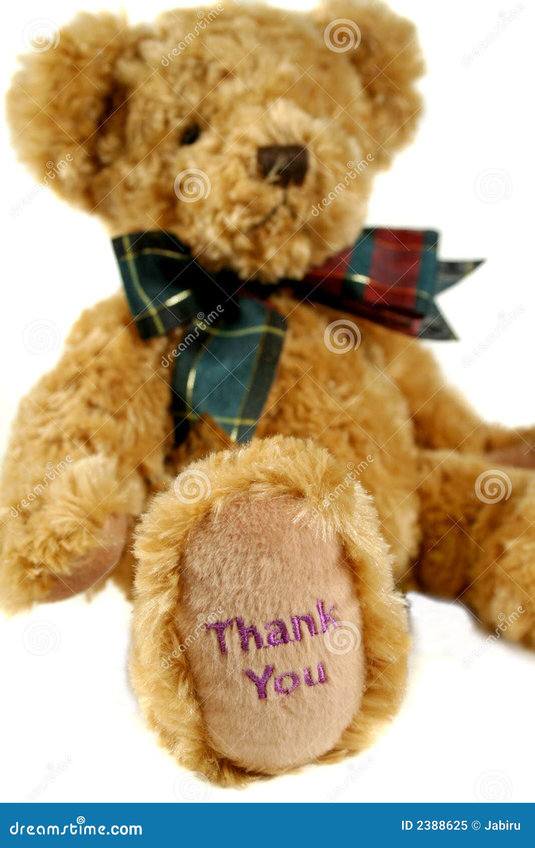 Thank You Teddy 2 stock image. Image of endearment, admiration - 2388625