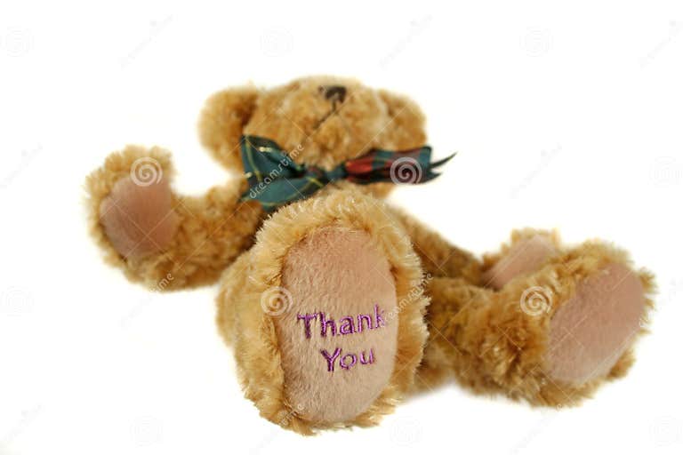 Thank You Teddy 3 stock image. Image of thank, fluffy - 2388631
