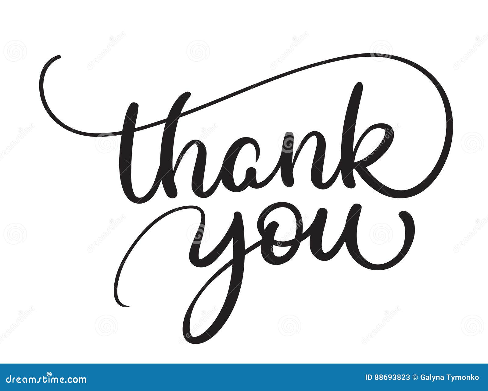 Thank You Text on White Background. Calligraphy Lettering Vector ...