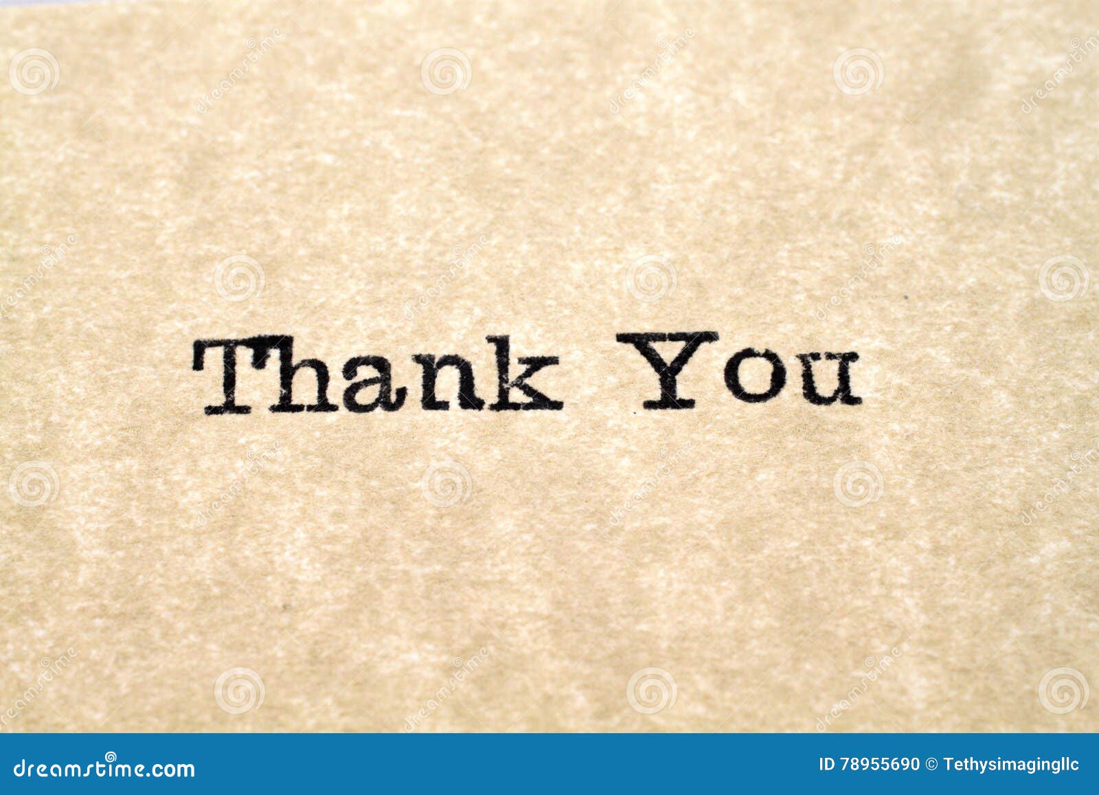 Thank You Typewriter Type stock photo. Image of communication - 78955690
