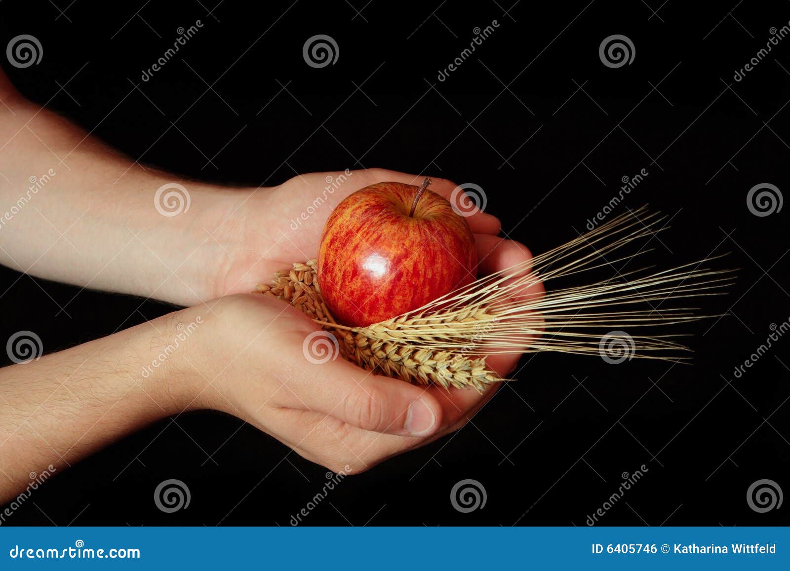 Thankful stock photo. Image of religion, harvest, pray - 6405746