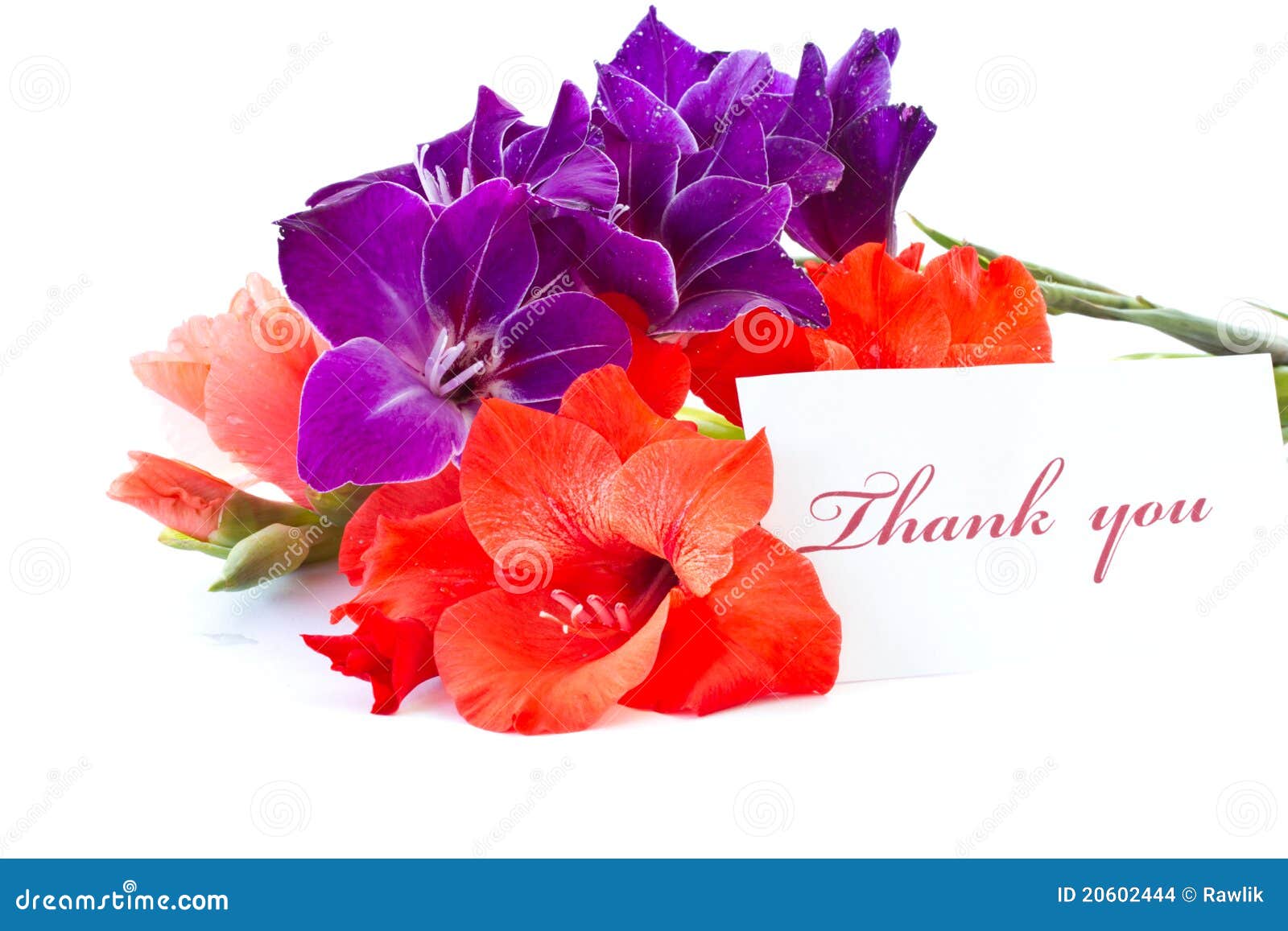 Thanks stock photo. Image of flowering, handwriting, floral - 20602444