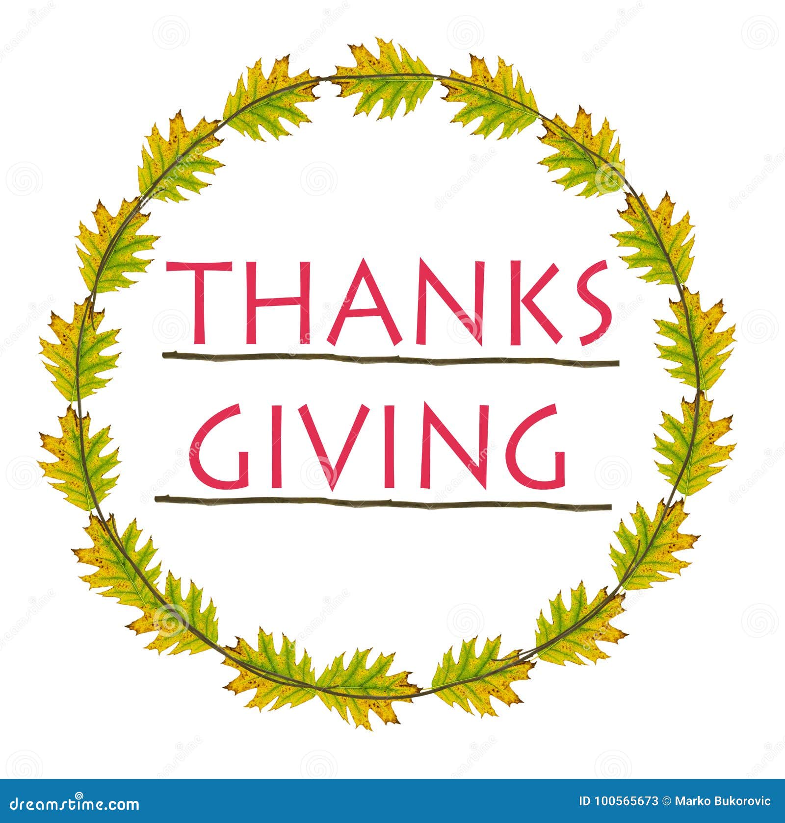 Thanks Giving and Green Leaves in Circle Stock Illustration ...