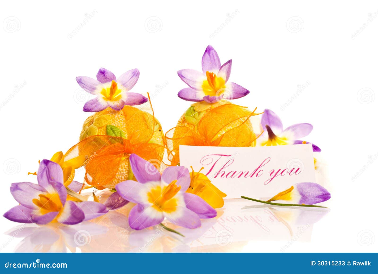 Thanks and spring crocuses stock image. Image of crocuses - 30315233