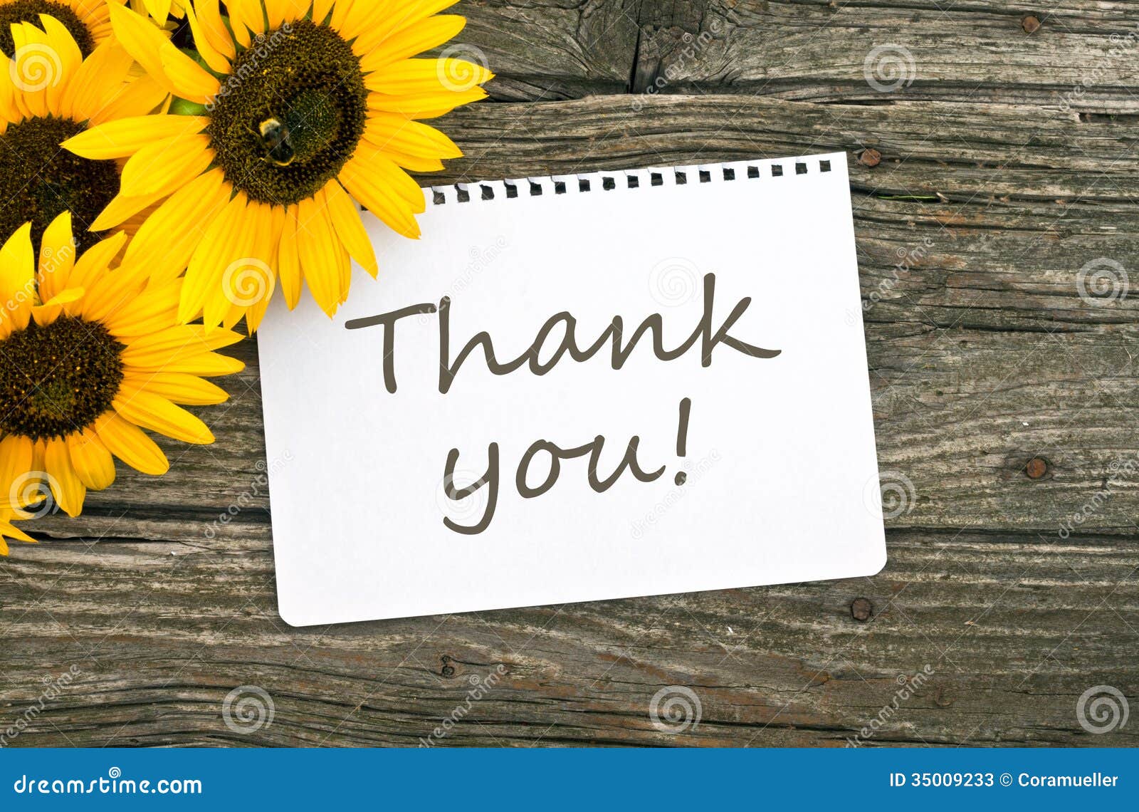 Thanks stock image. Image of english, yellow, text, thank - 35009233