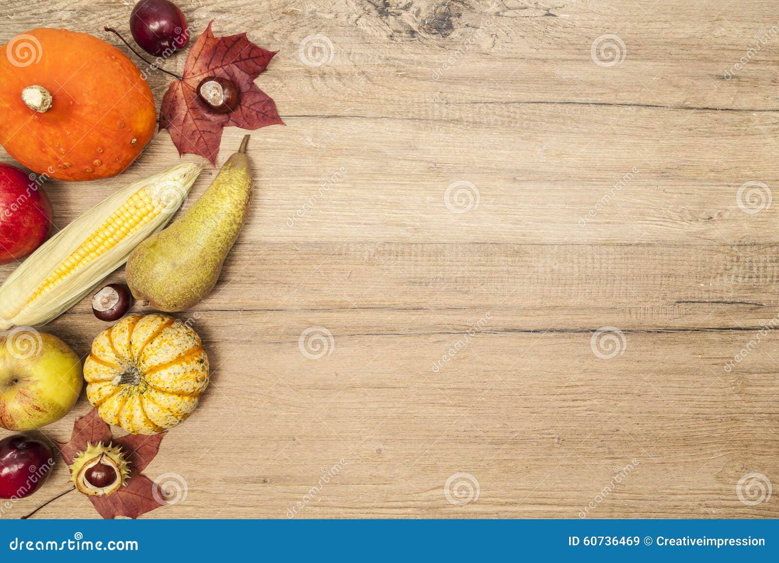 Thanksgiving border design stock image. Image of agriculture - 60736469