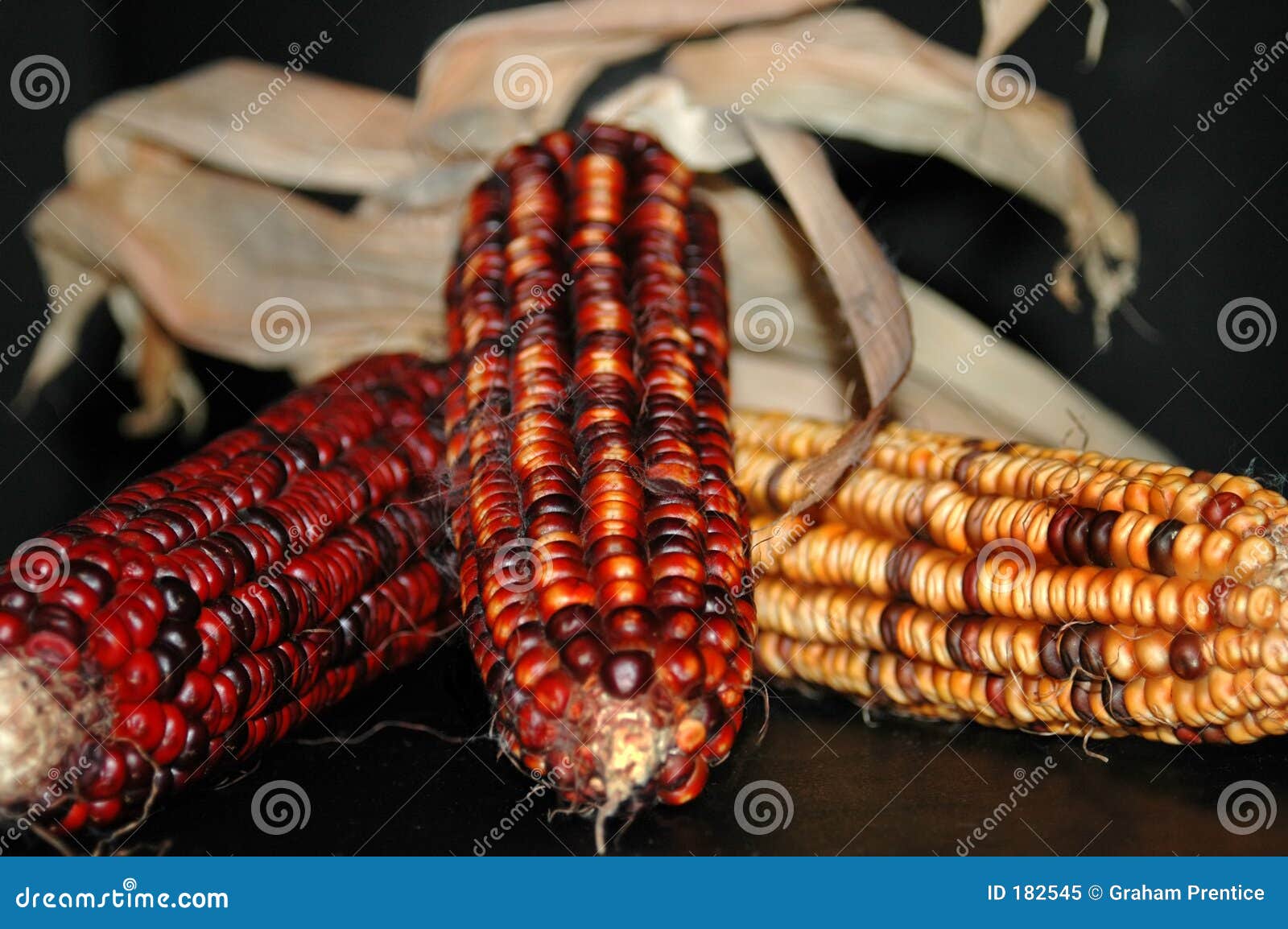Pligrim Corn Stock Photos - Free & Royalty-Free Stock Photos from ...