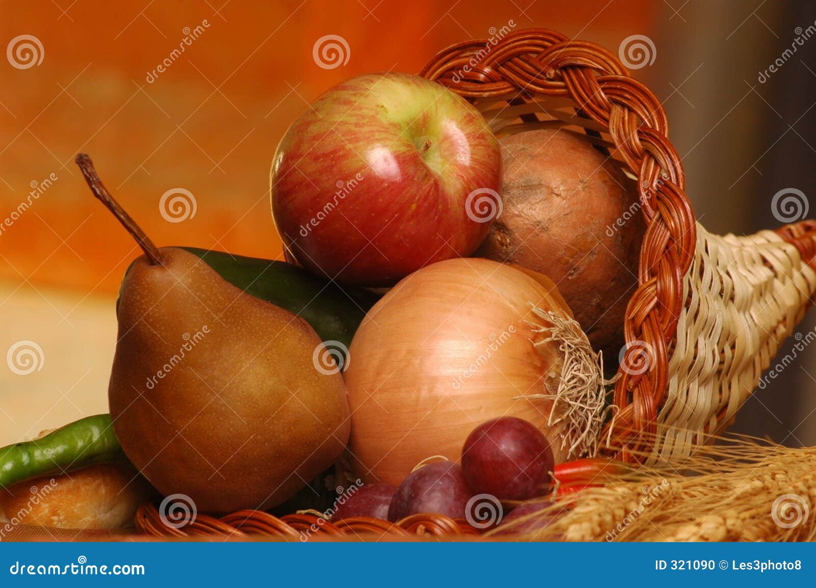 Thanksgiving cornucopia stock photo. Image of colorful - 321090
