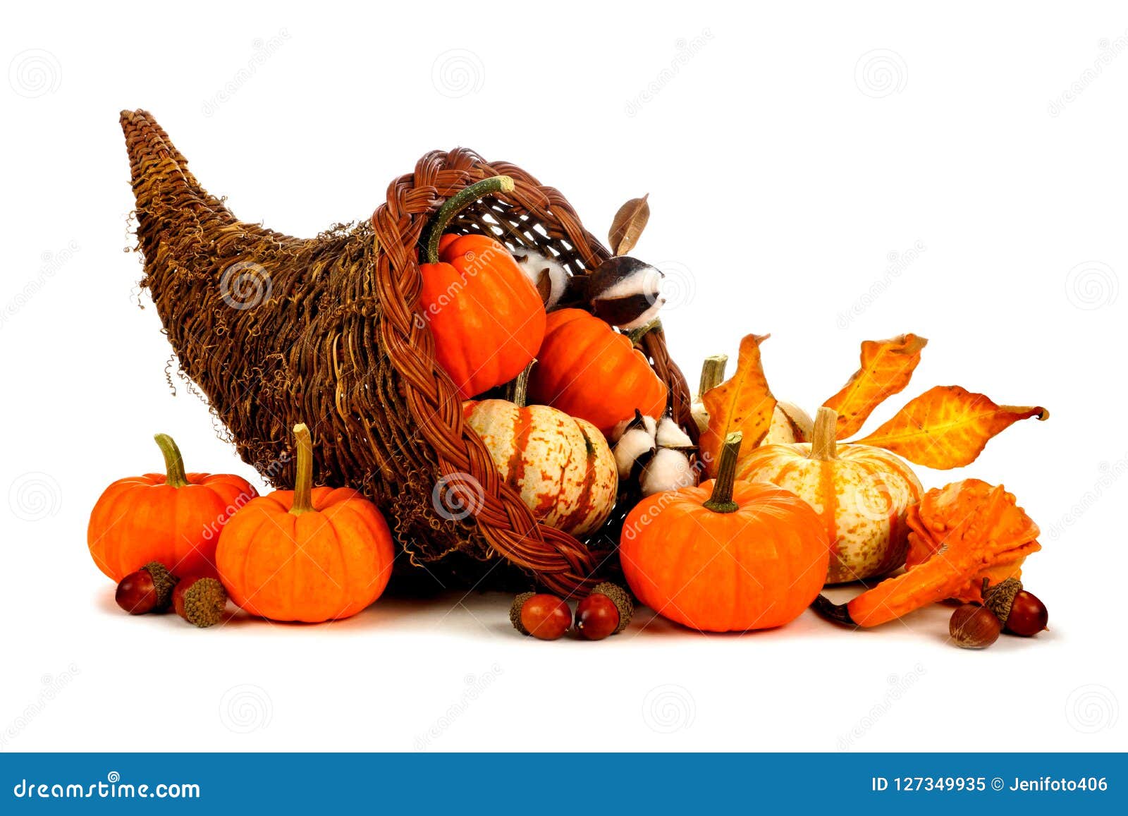 Thanksgiving Cornucopia with Pumpkins Isolated on White Stock Image ...