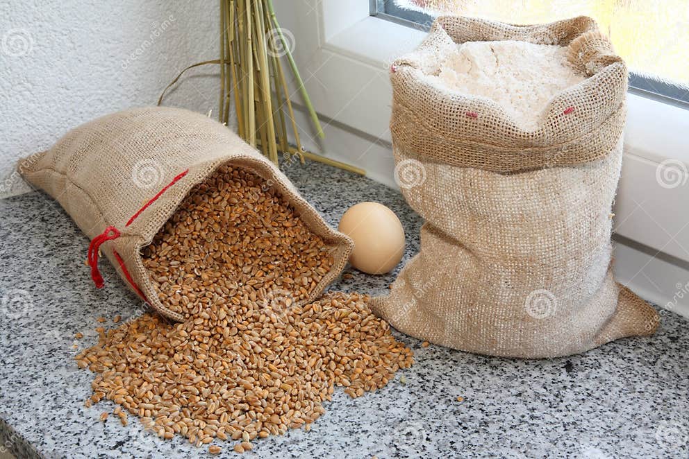 Thanksgiving decoration. stock photo. Image of background - 34056796