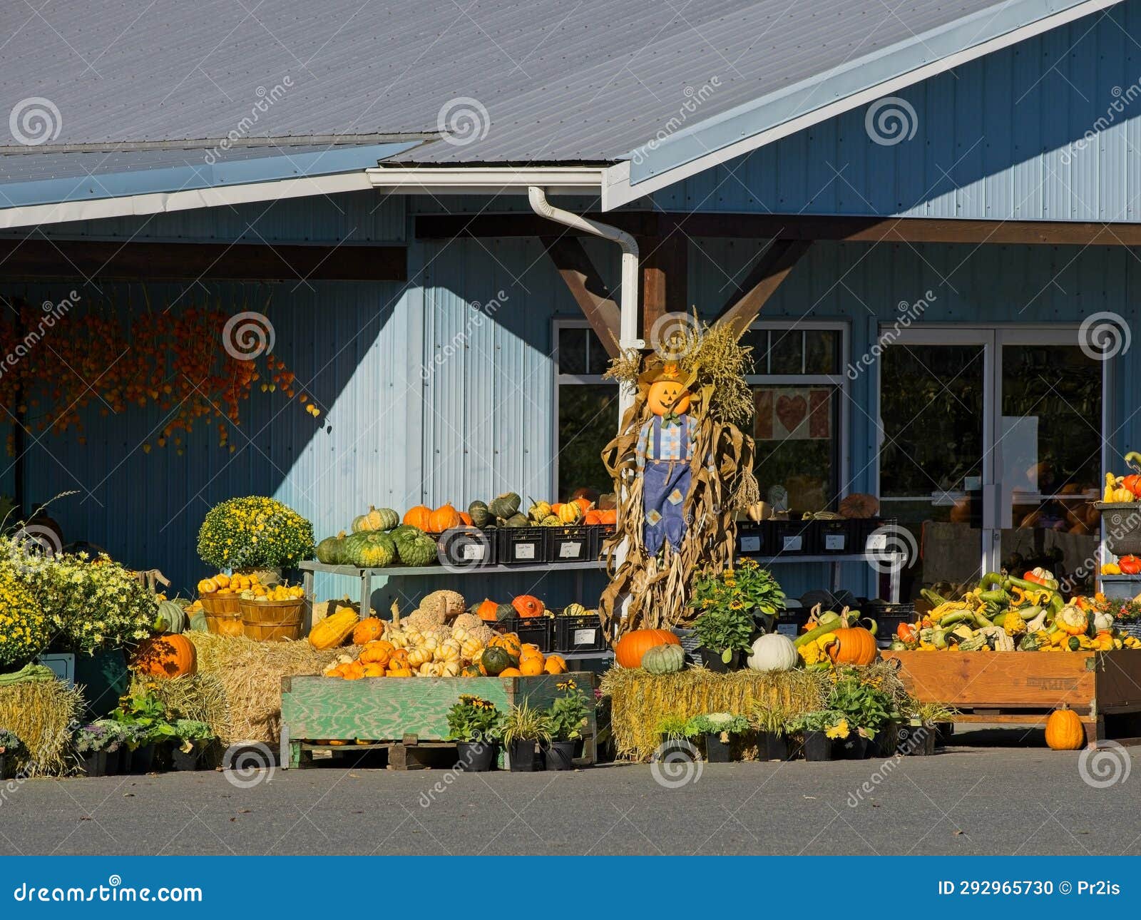 Thanksgiving Display of Fresh Fall Produce Stock Photo - Image of ...