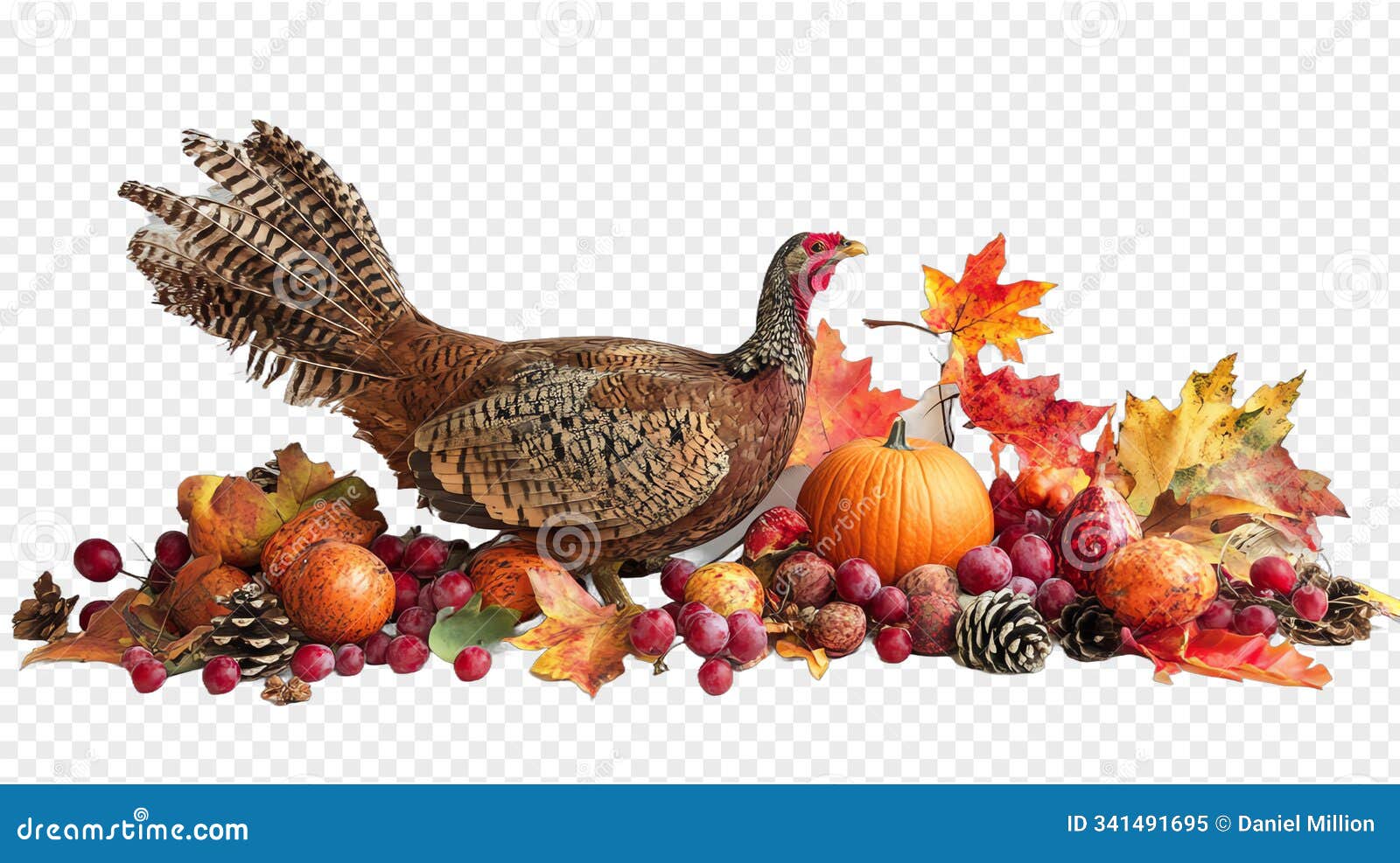 Thanksgiving elements stock illustration. Illustration of meal - 341491695