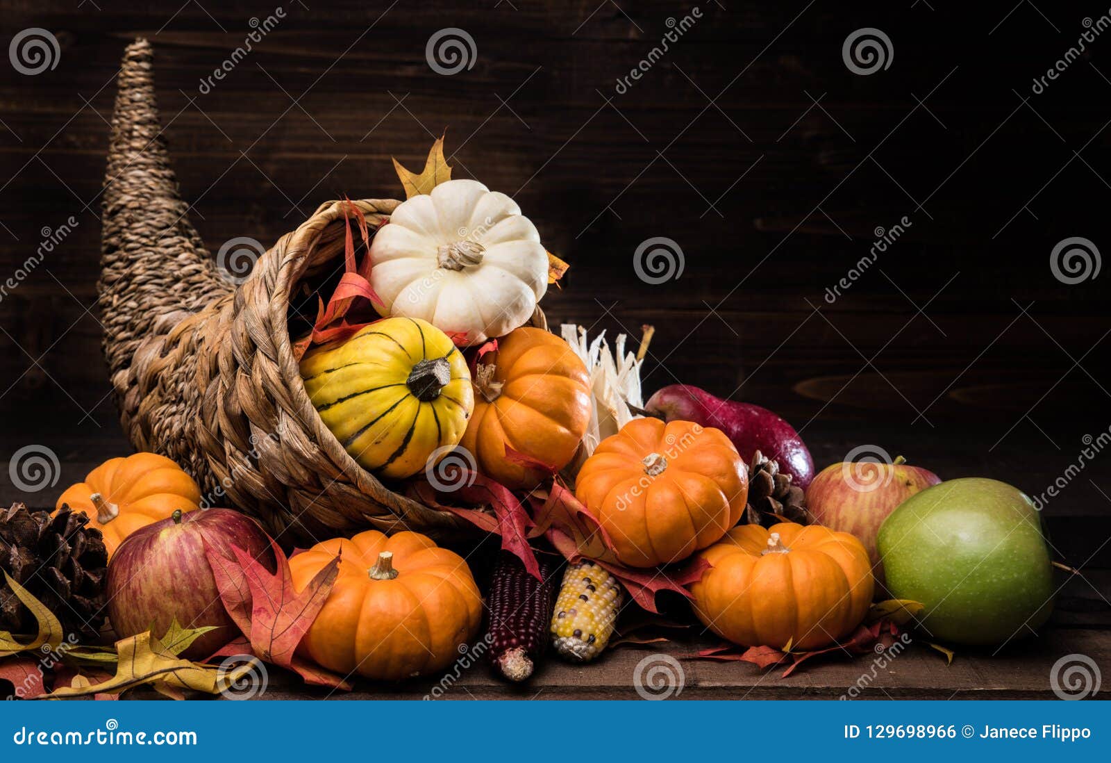 Thanksgiving or Fall Cornucopia Stock Photo - Image of october, leaf ...