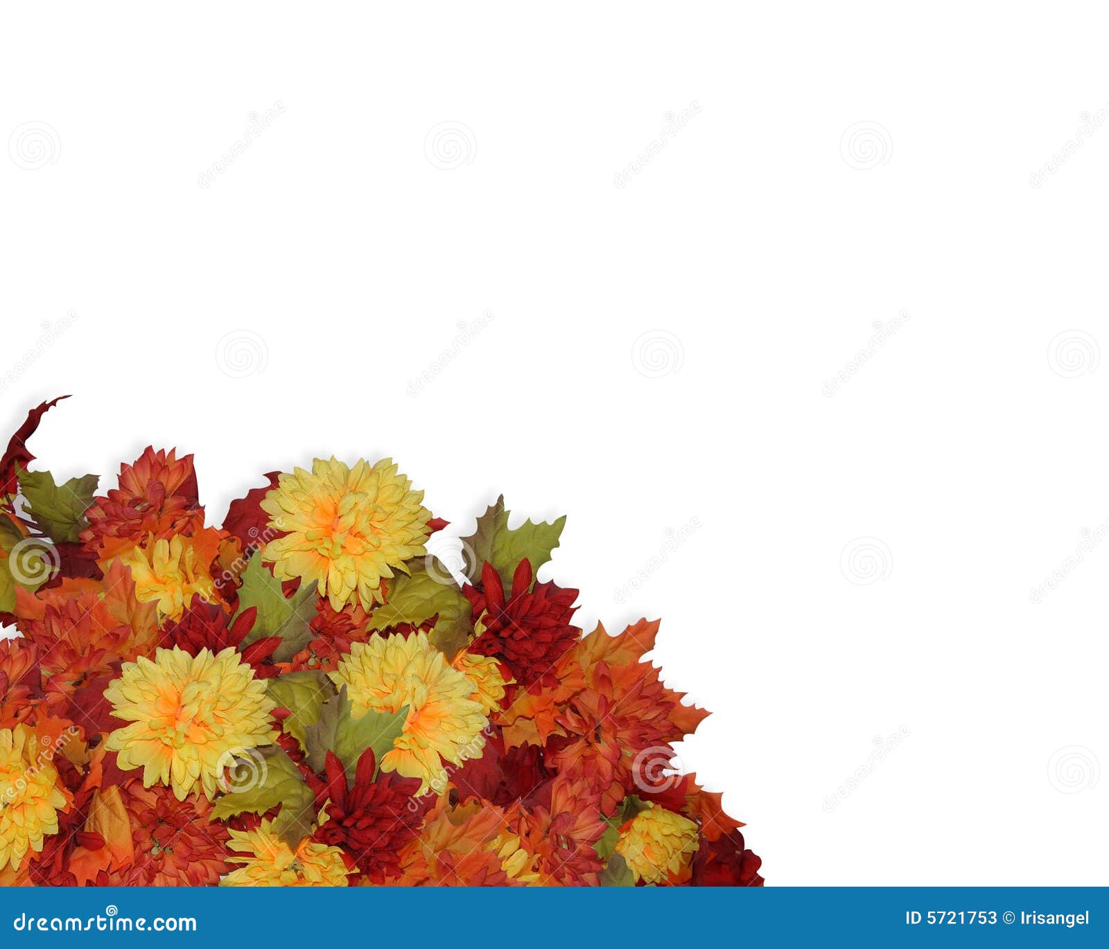 Thanksgiving Fall Flowers Corner Stock Illustration - Illustration of ...