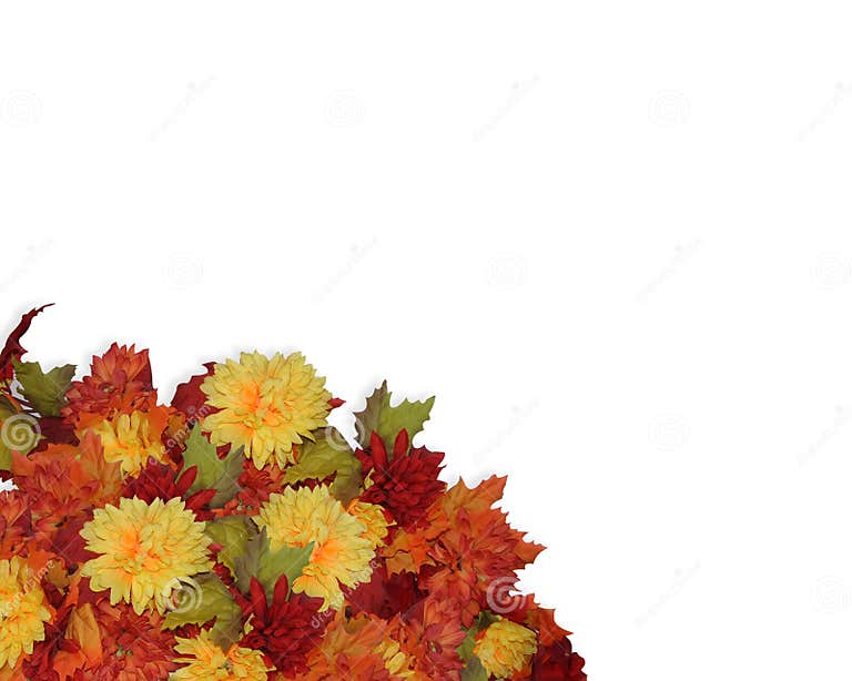 Thanksgiving Fall Flowers Corner Stock Illustration - Illustration of ...