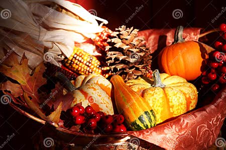 Thanksgiving Fall Harvest stock photo. Image of colors - 2986630