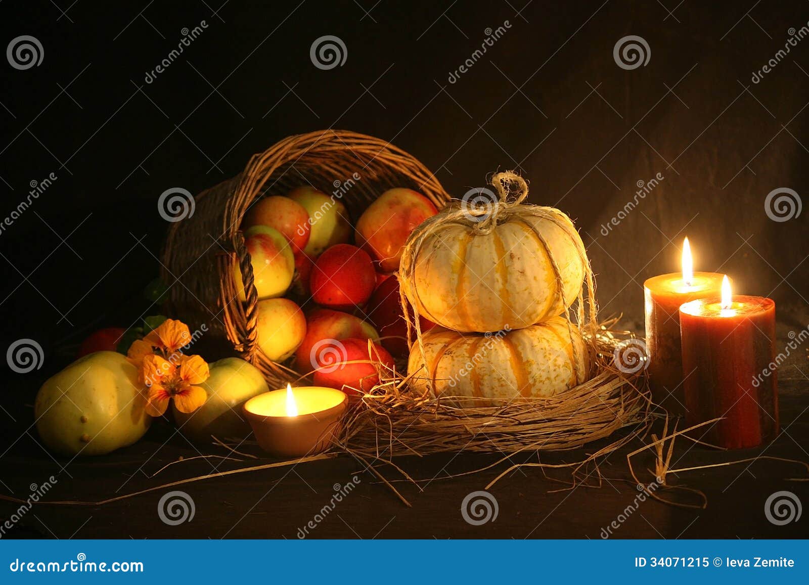 Thanksgiving Fall Harvest stock image. Image of closeup - 34071215