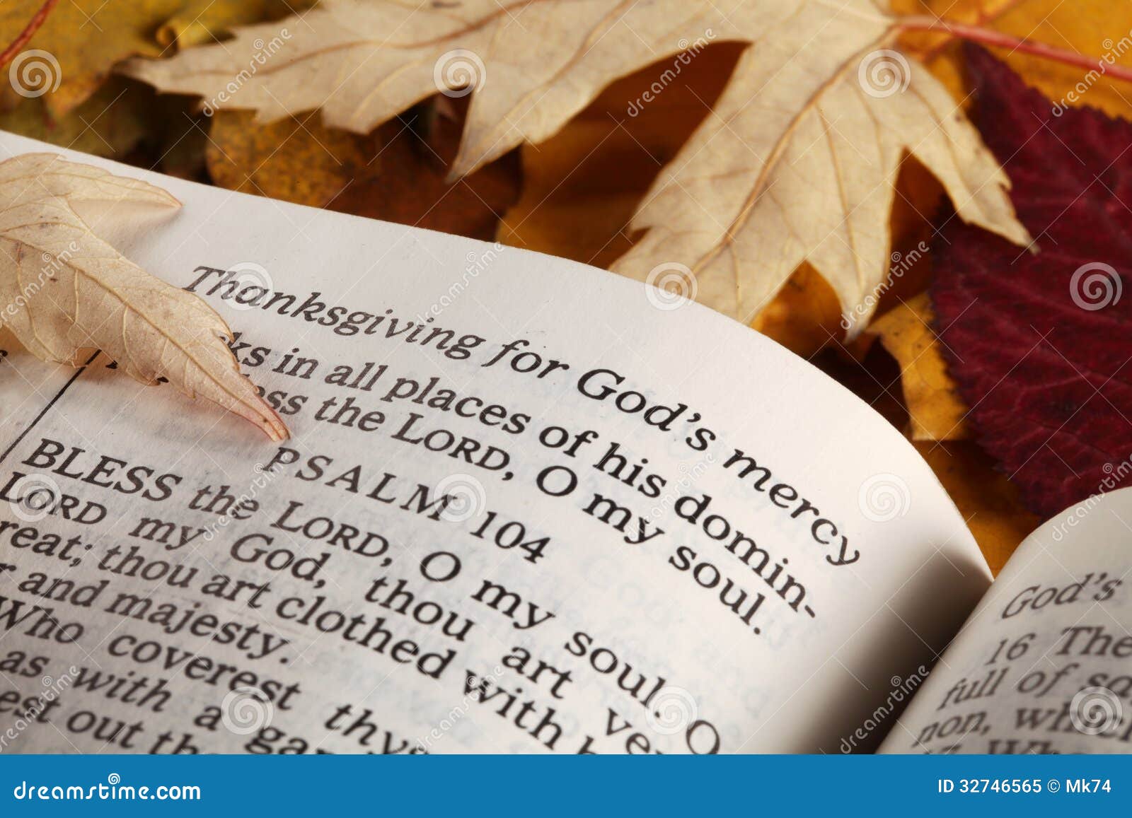 Thanksgiving stock image. Image of autumn, closeup, detail - 32746565