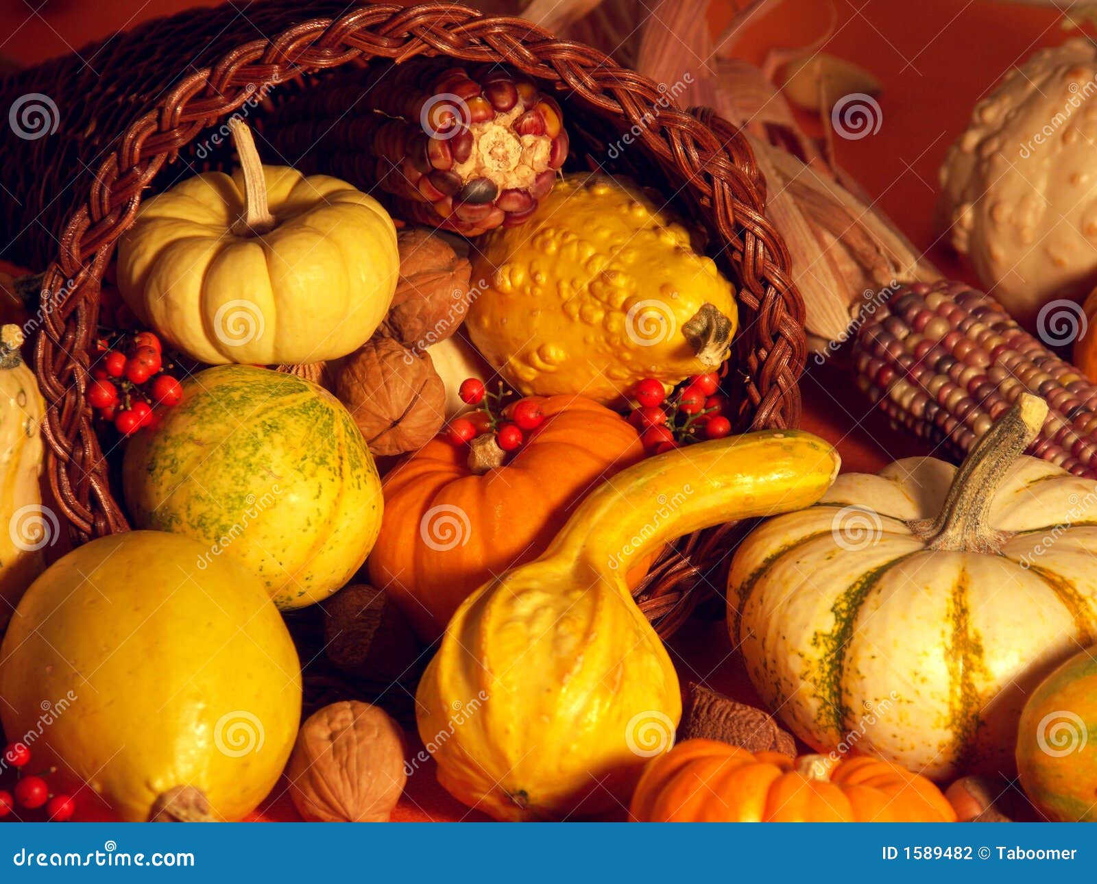 Thanksgiving Scene 5 stock photo. Image of warm, fall - 1589482