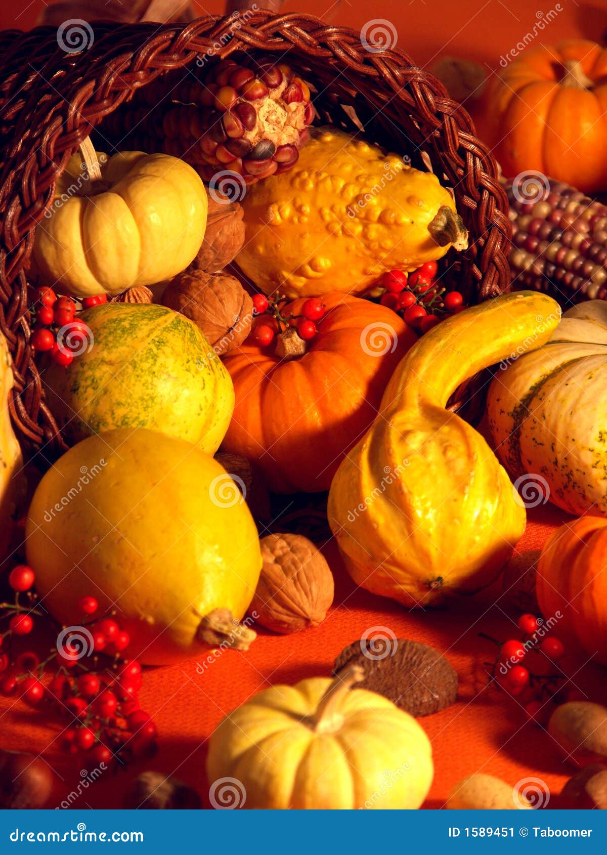Thanksgiving Scene 6 stock image. Image of vertical, autumn - 1589451