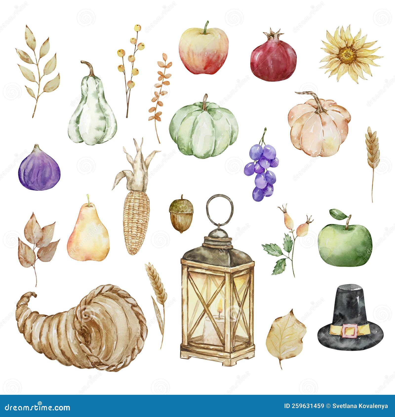 Thanksgiving Watercolor Elements, Cornucopia, Lantern and Pumpkins ...