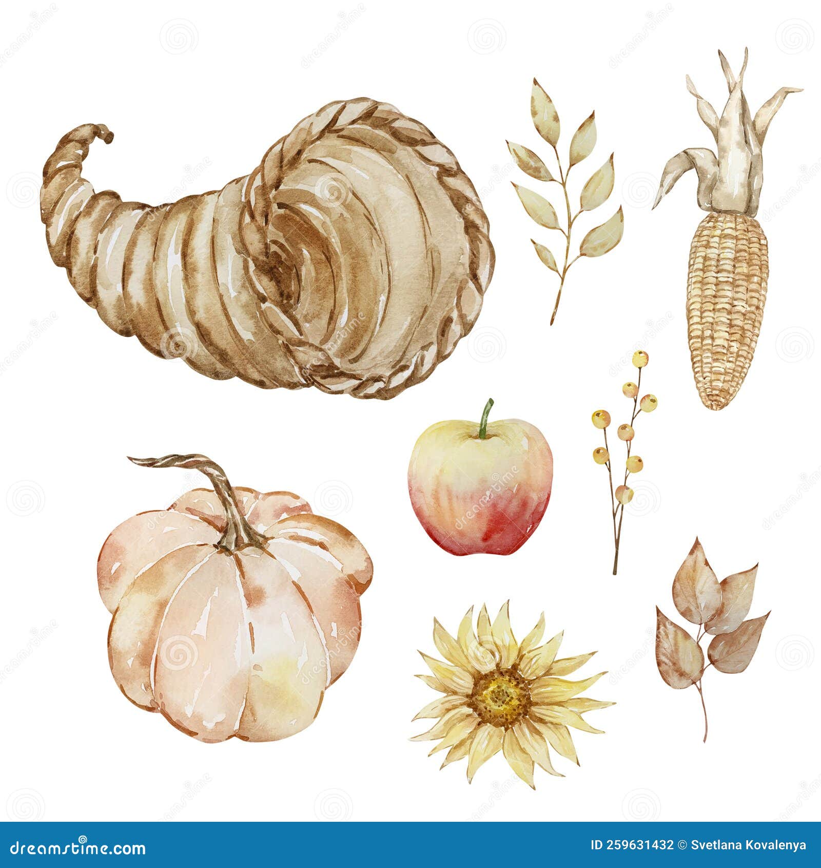 Thanksgiving Watercolor Elements, Pumpkins, Corn, Fruits and Cornucopia ...
