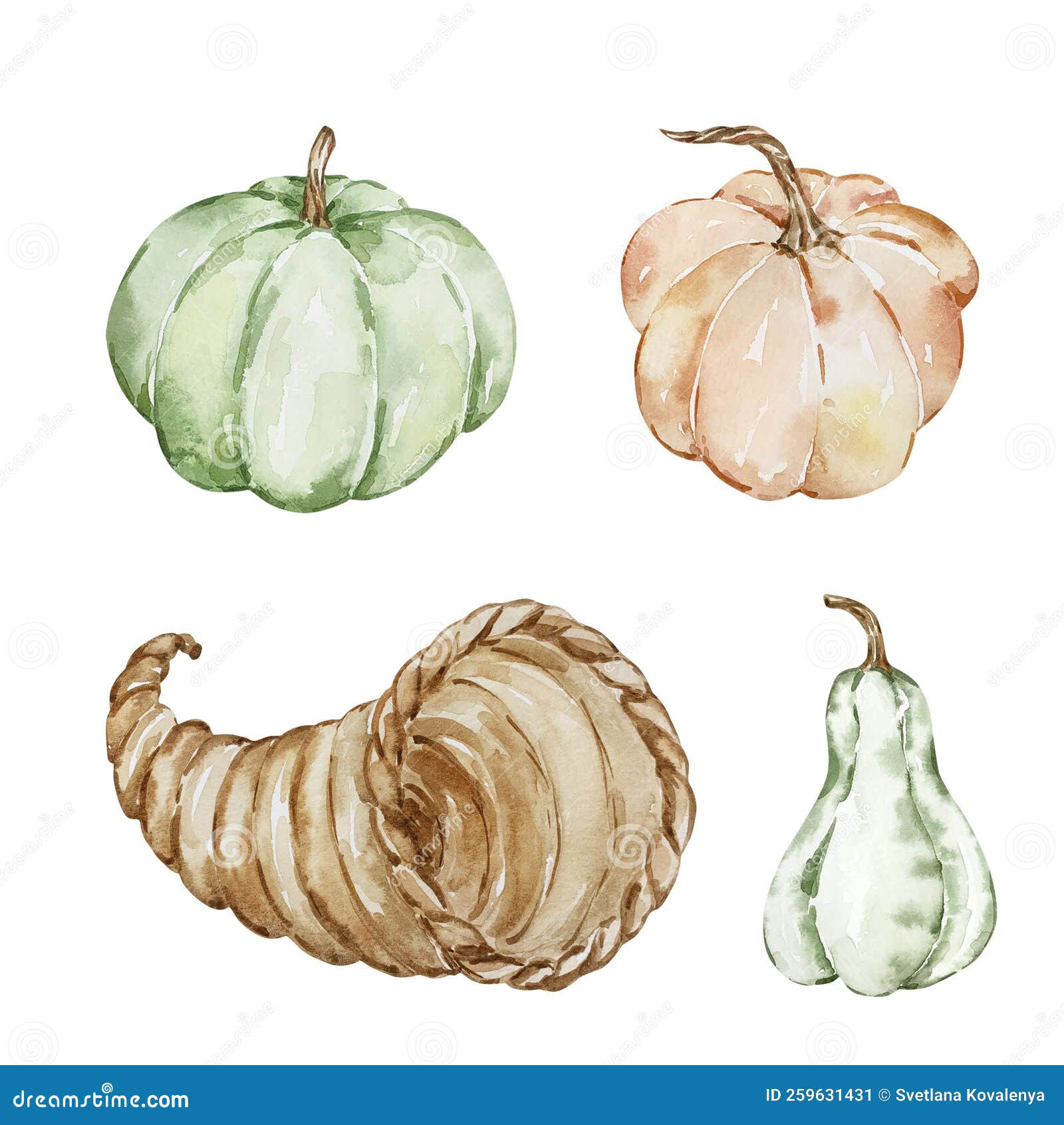 Thanksgiving Watercolor Elements, Pumpkins and Cornucopia Stock Image ...