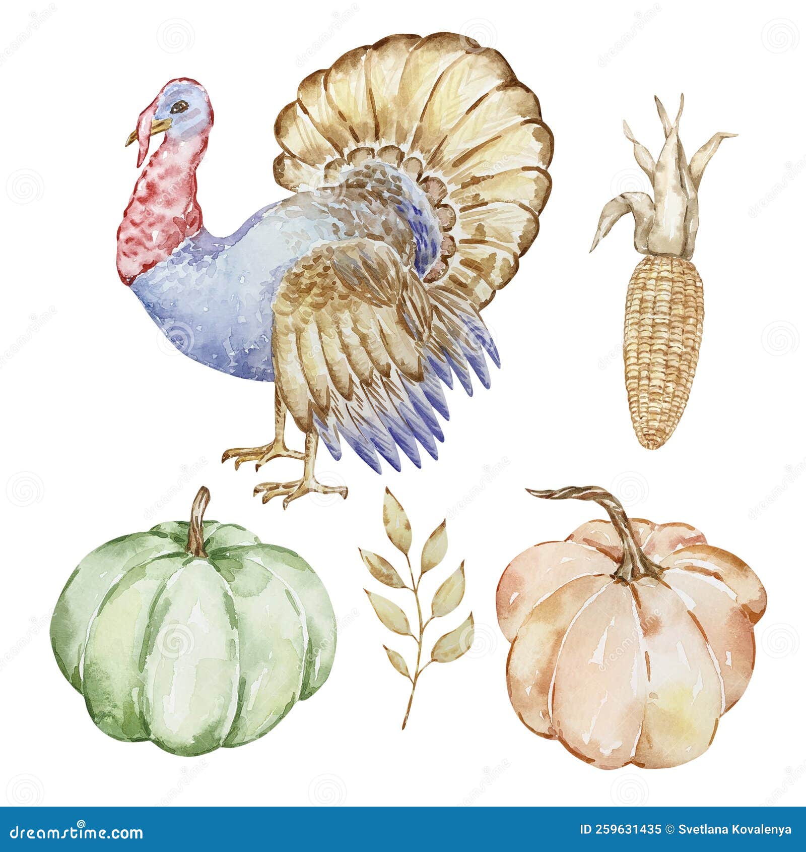 Thanksgiving Watercolor Elements, Turkey and Pumpkin Stock Illustration ...