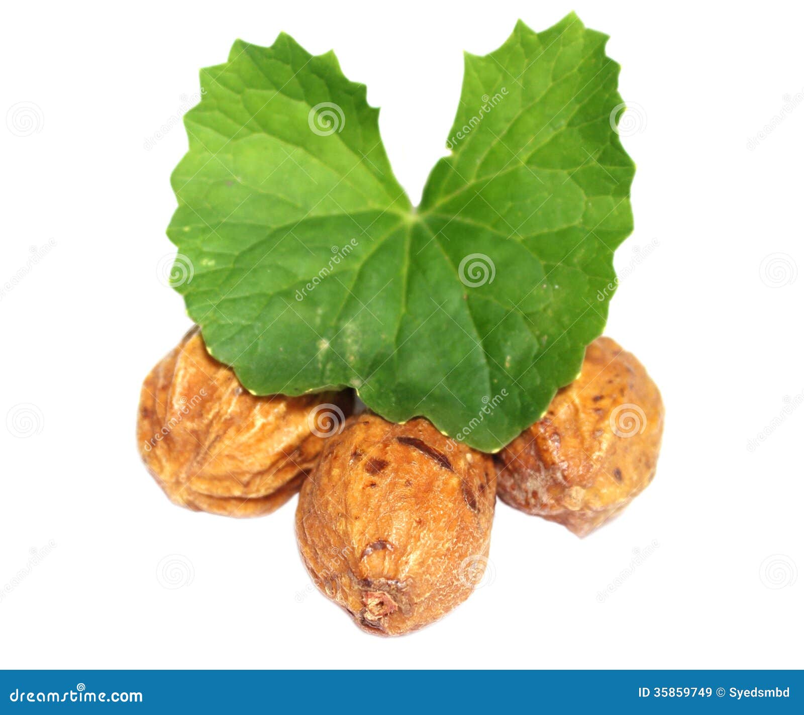 Thankuni Leaves & Hartuki Fruit Stock Image - Image of bottle, medicine ...