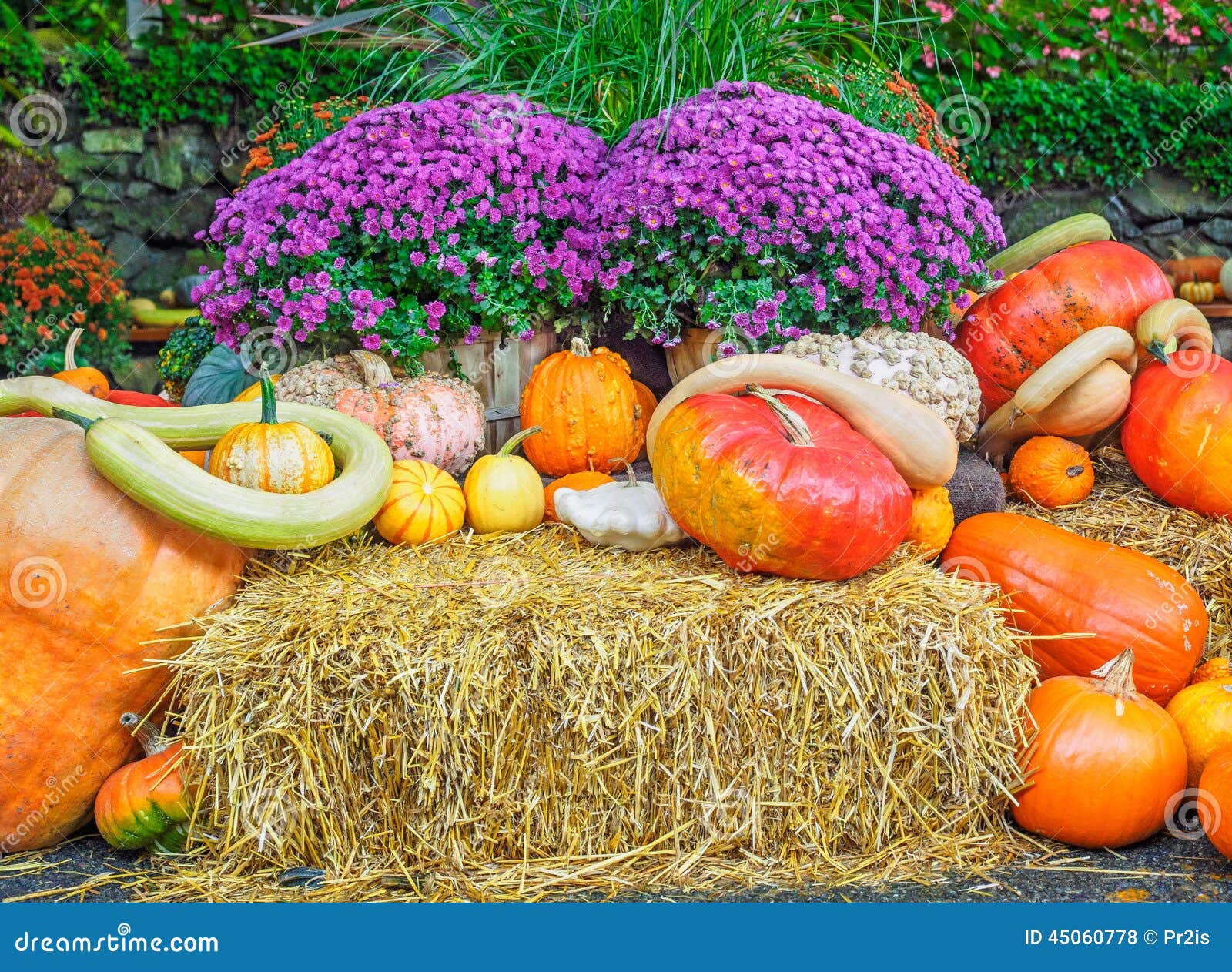 Thansgiving Produce Display Stock Photo - Image of produce, farm: 45060778