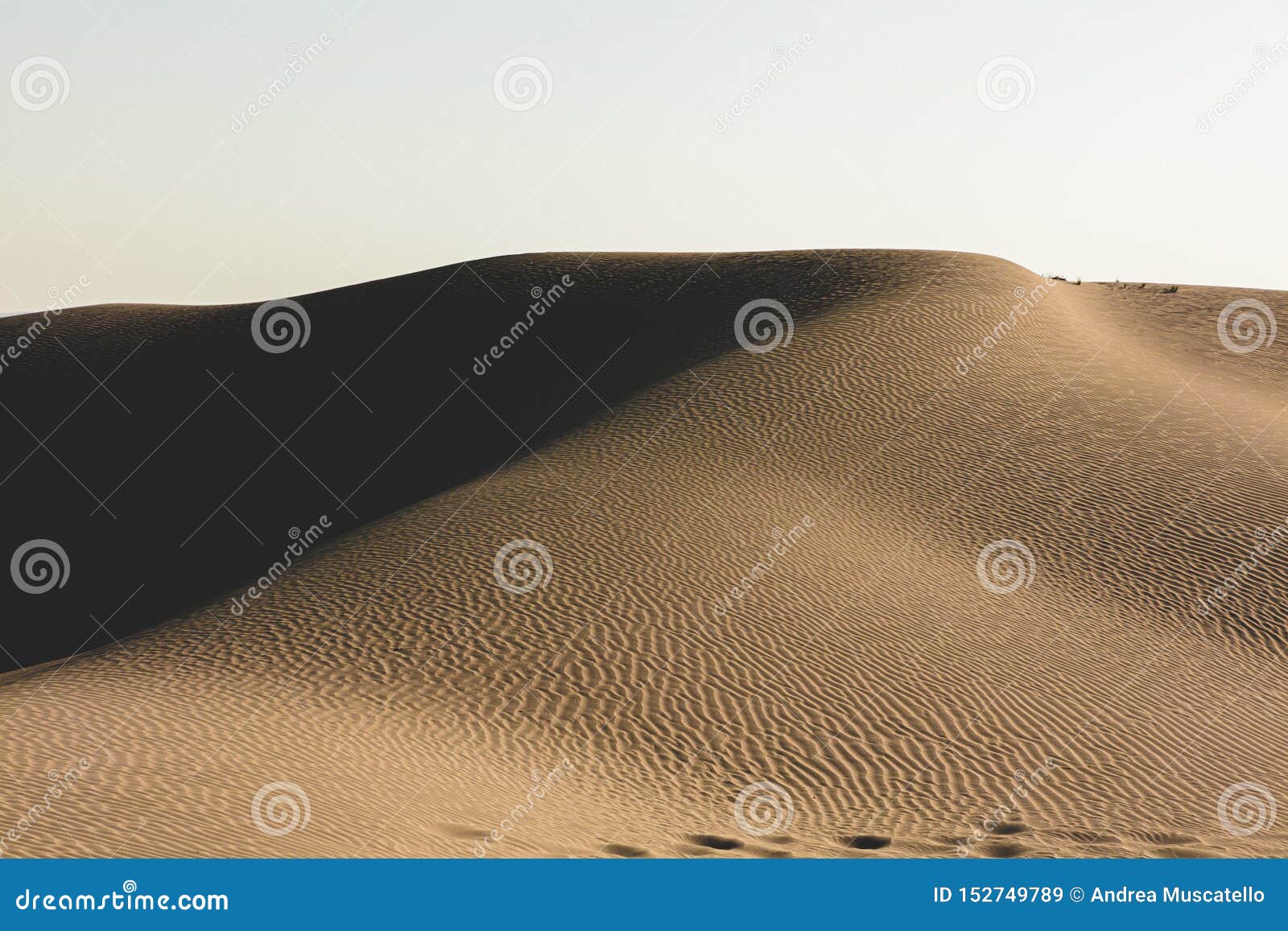 Thar Desert Landscape, View of Thar Zone, in the Rajasthan Stock Image ...