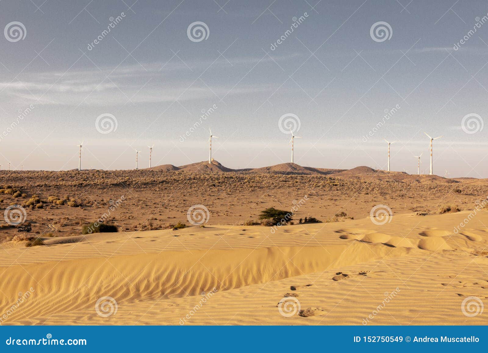 Thar Desert Landscape, View of Thar Zone, in the Rajasthan Stock Image ...