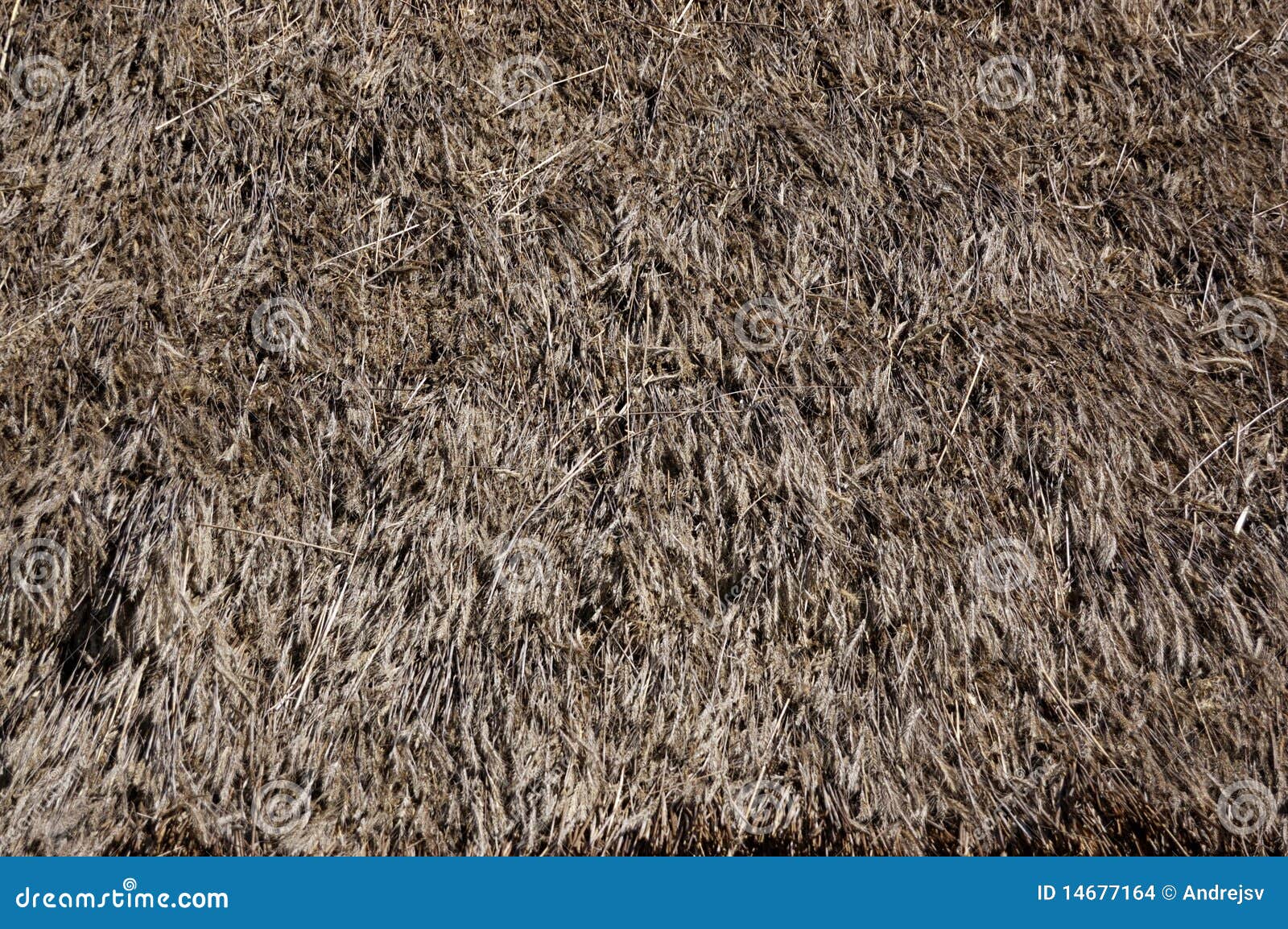 Thatch stock photo. Image of urban, texture, grain, vacations - 14677164